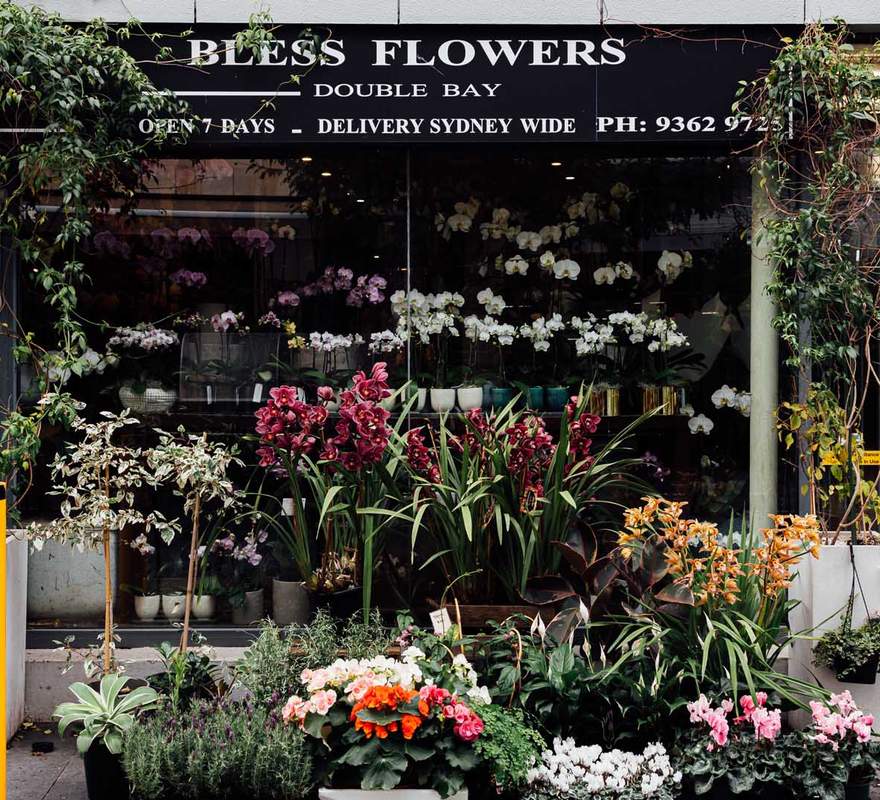 Bless Flowers - Concrete Playground