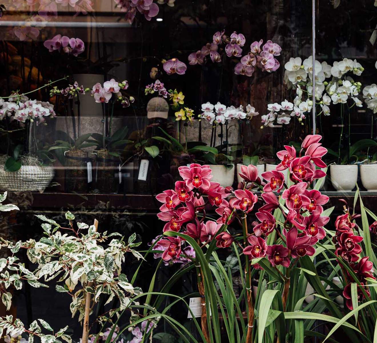 Bless Flowers - Concrete Playground