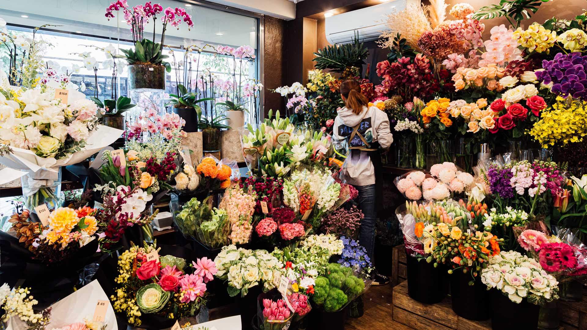 Bless Flowers - Concrete Playground