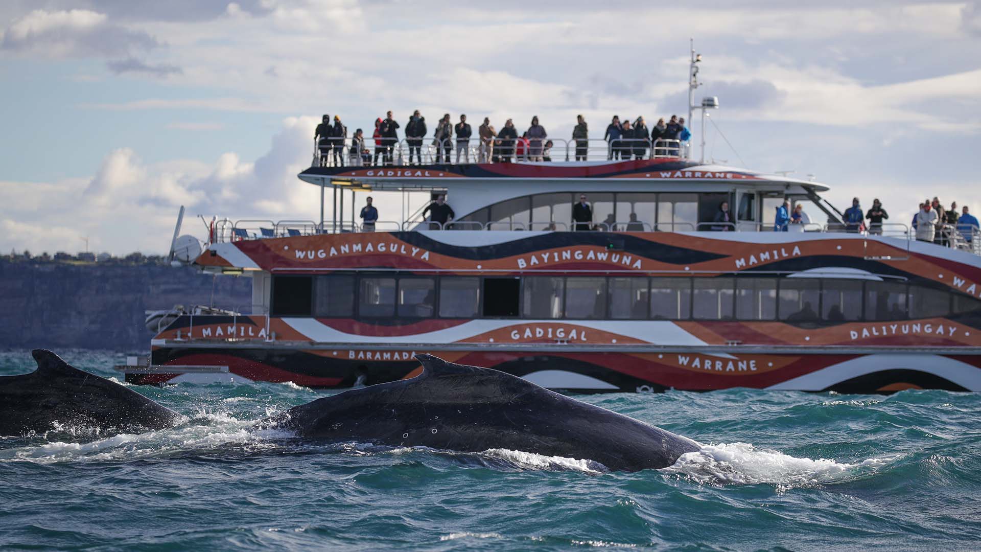 This Harbour Ferry Has Been Kitted Out with the Names of Sydney's First ...