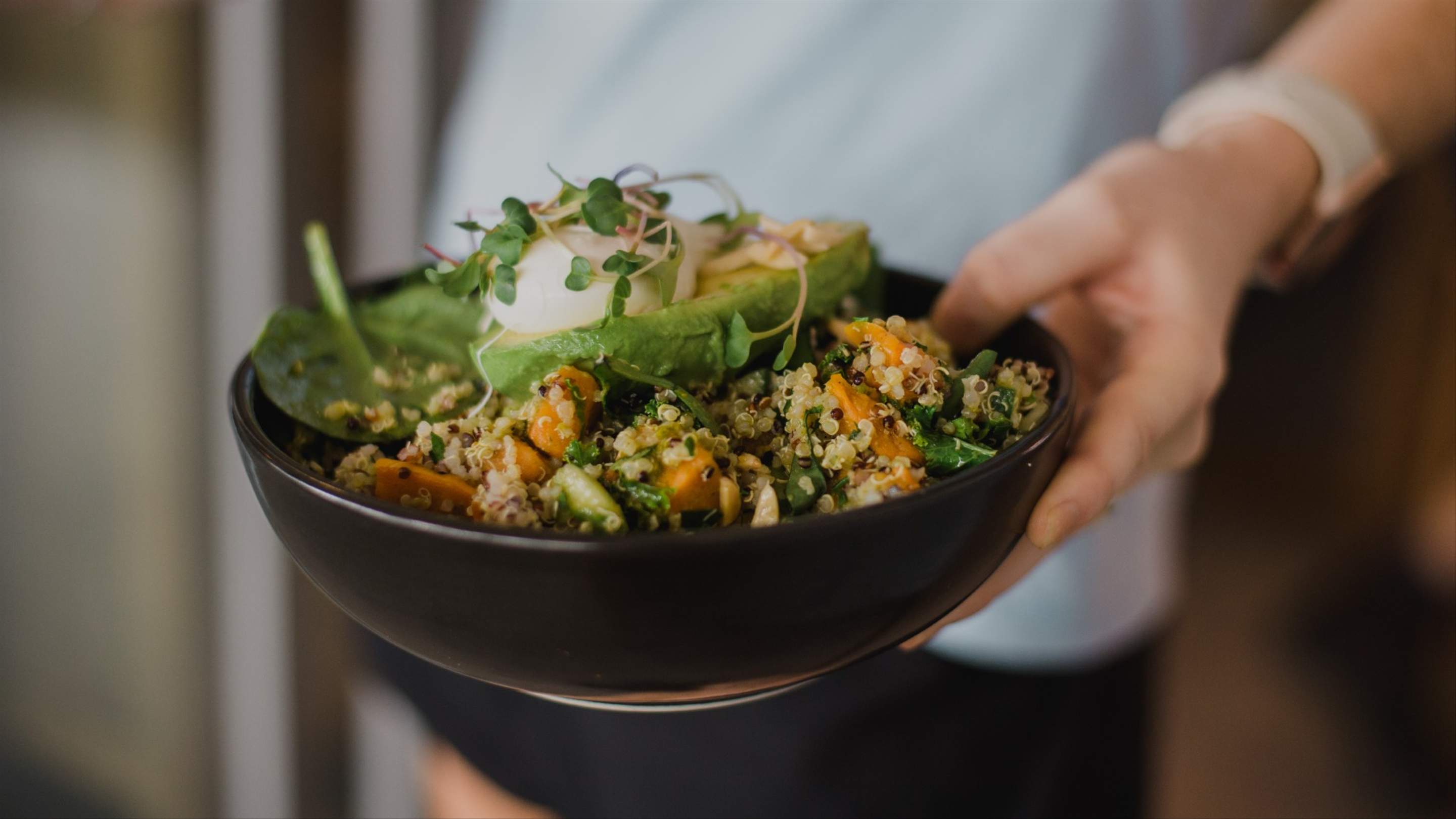 Cafe Treeo, Sawtell Review