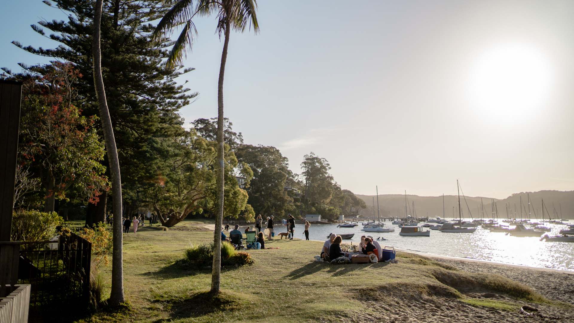 Seven Idyllic Spots for a Picnic on the Northern Beaches Where You Can ...
