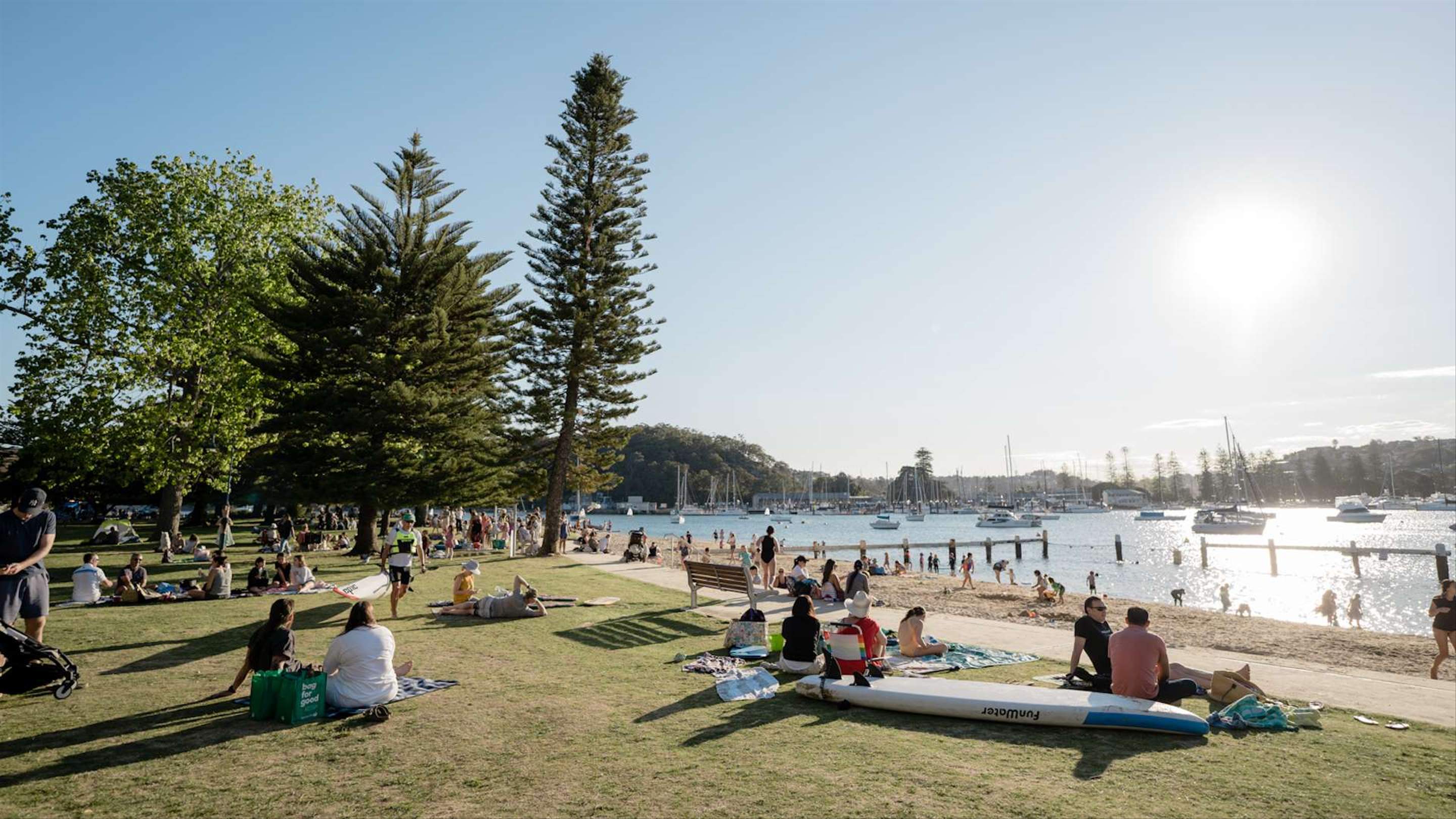 Seven Idyllic Spots for a Picnic on the Northern Beaches Where You Can ...