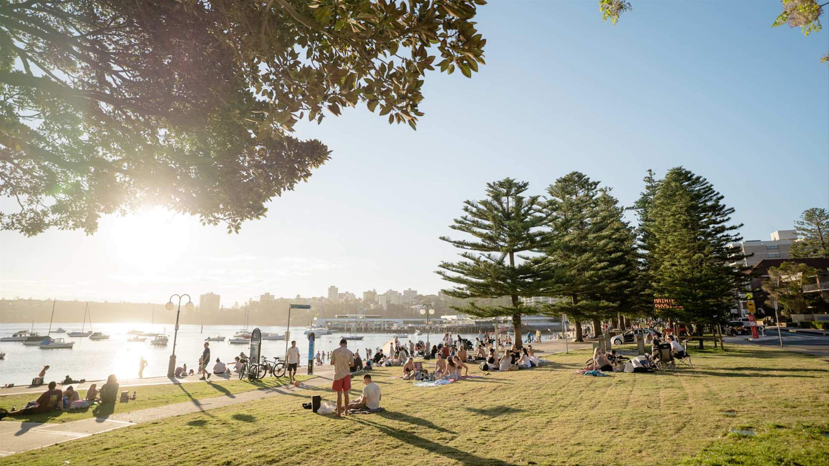 Seven Idyllic Spots for a Picnic on the Northern Beaches Where You Can ...
