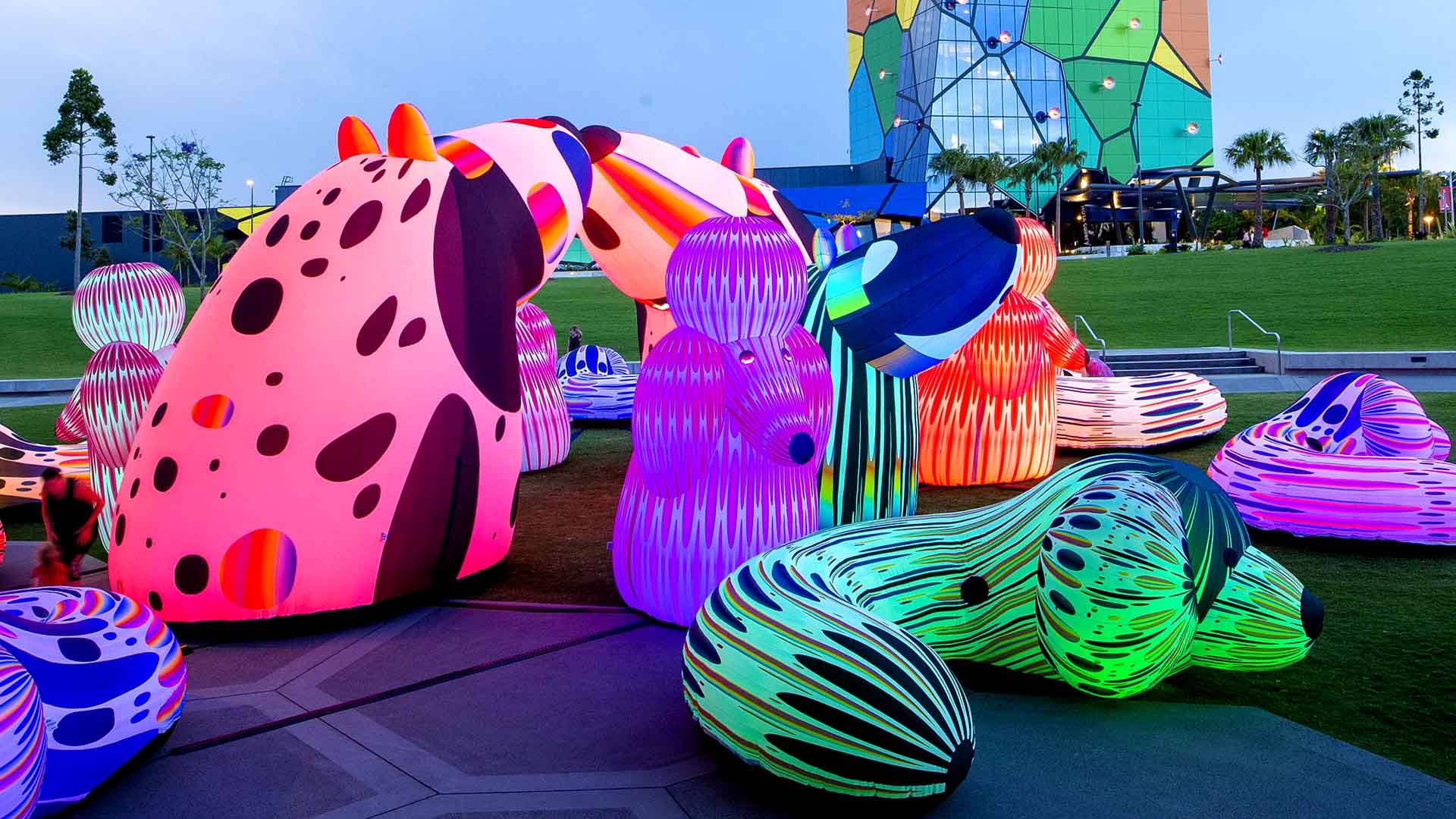 Lost Dogs Disco - Concrete Playground