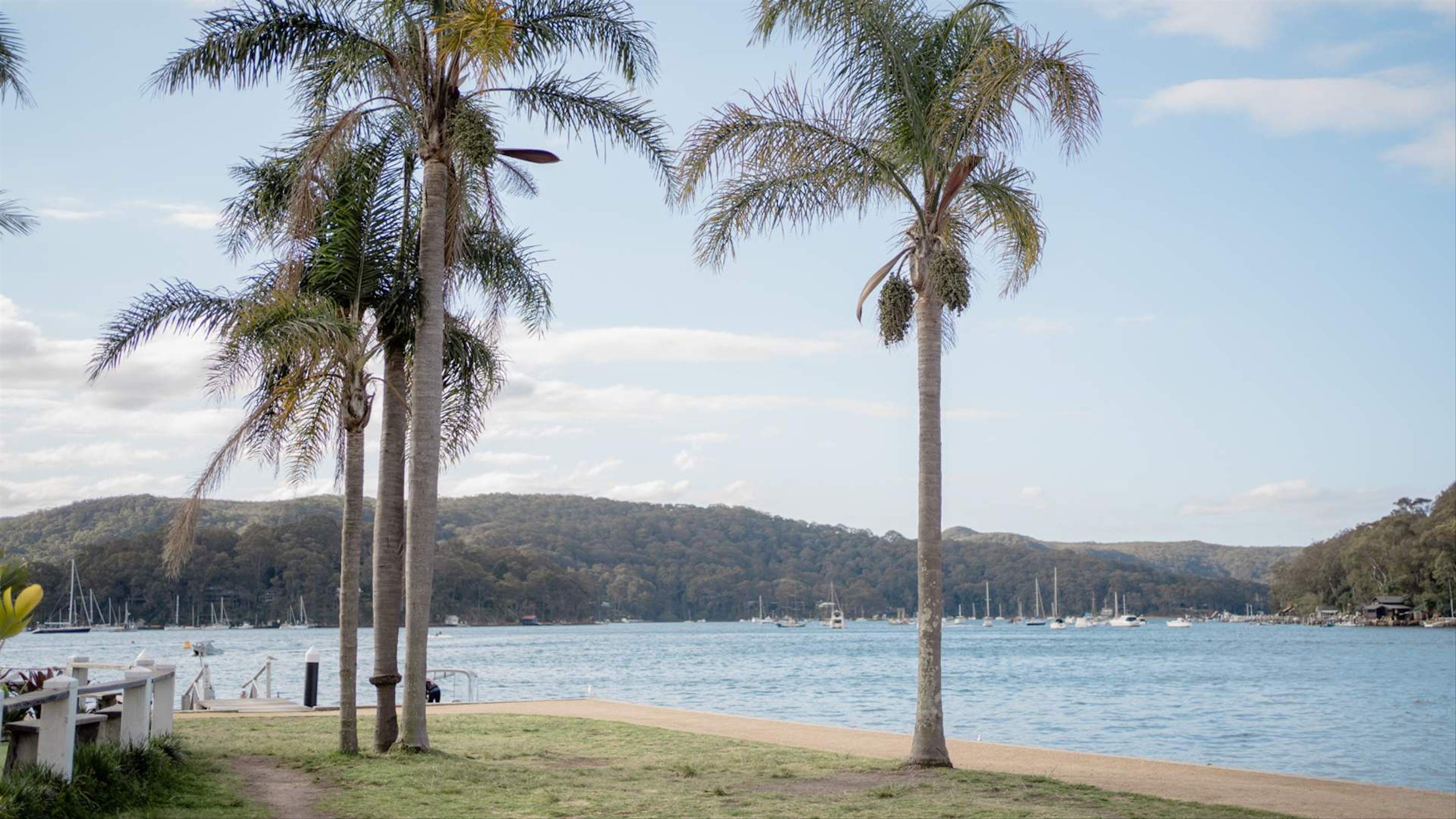 Seven Idyllic Spots for a Picnic on the Northern Beaches Where You Can ...