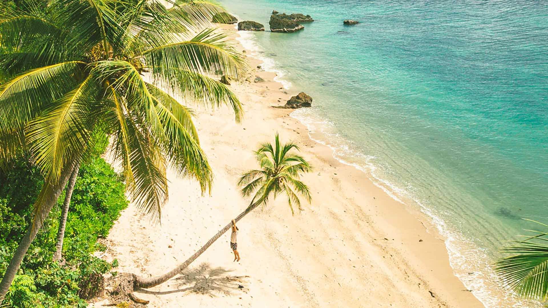 Camping at Dunk Island - Concrete Playground