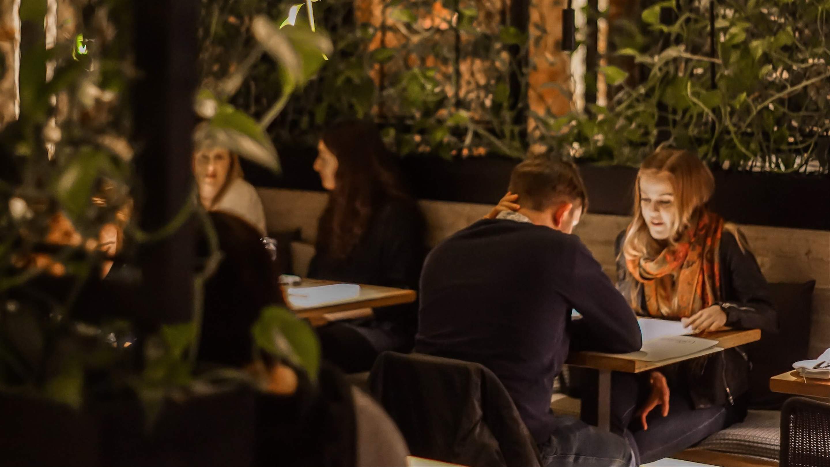 Transformer, Fitzroy Review