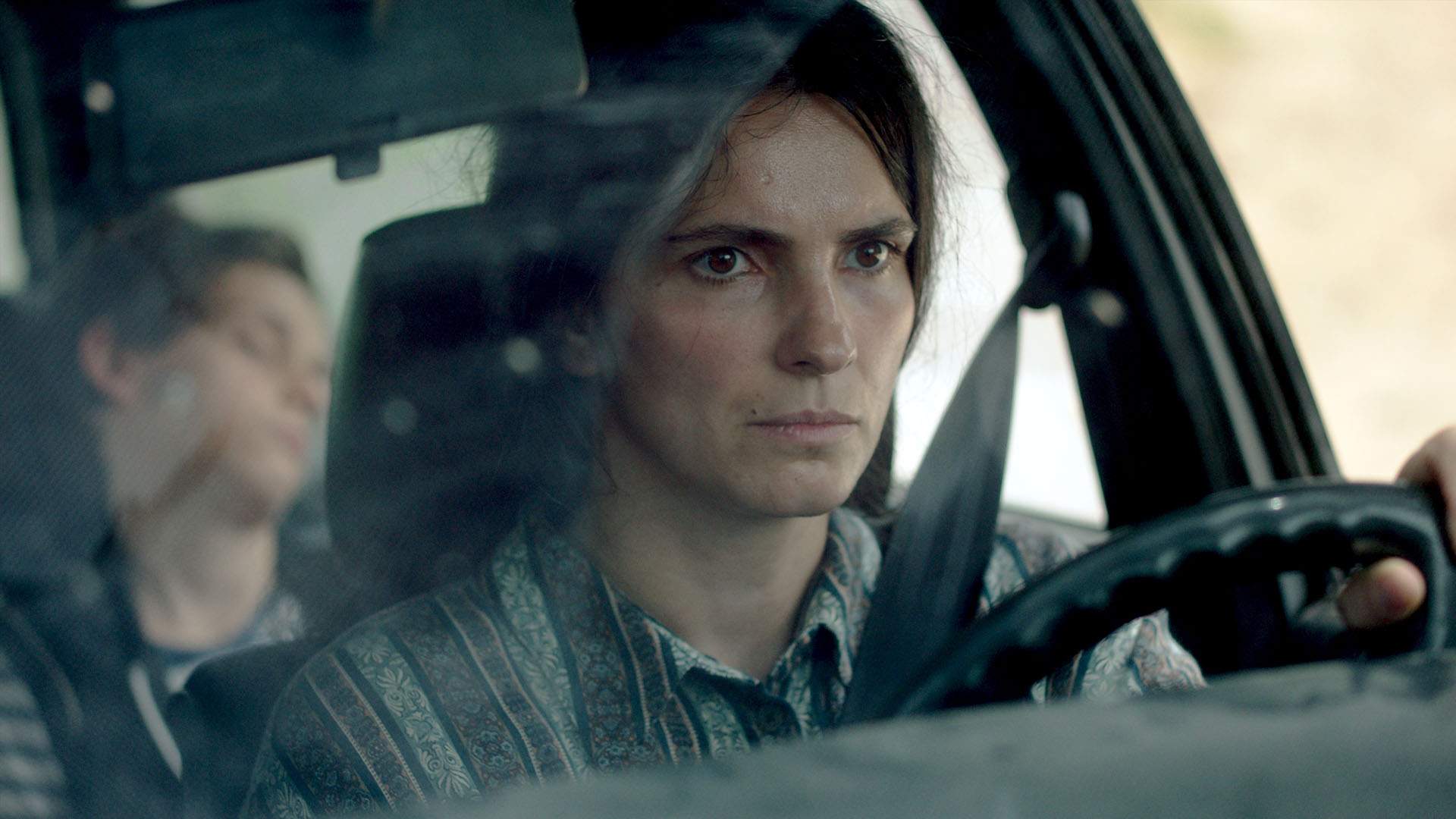 Hive - Concrete Playground