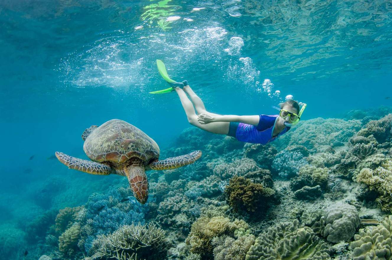 Sunlover Reef Cruises - Concrete Playground