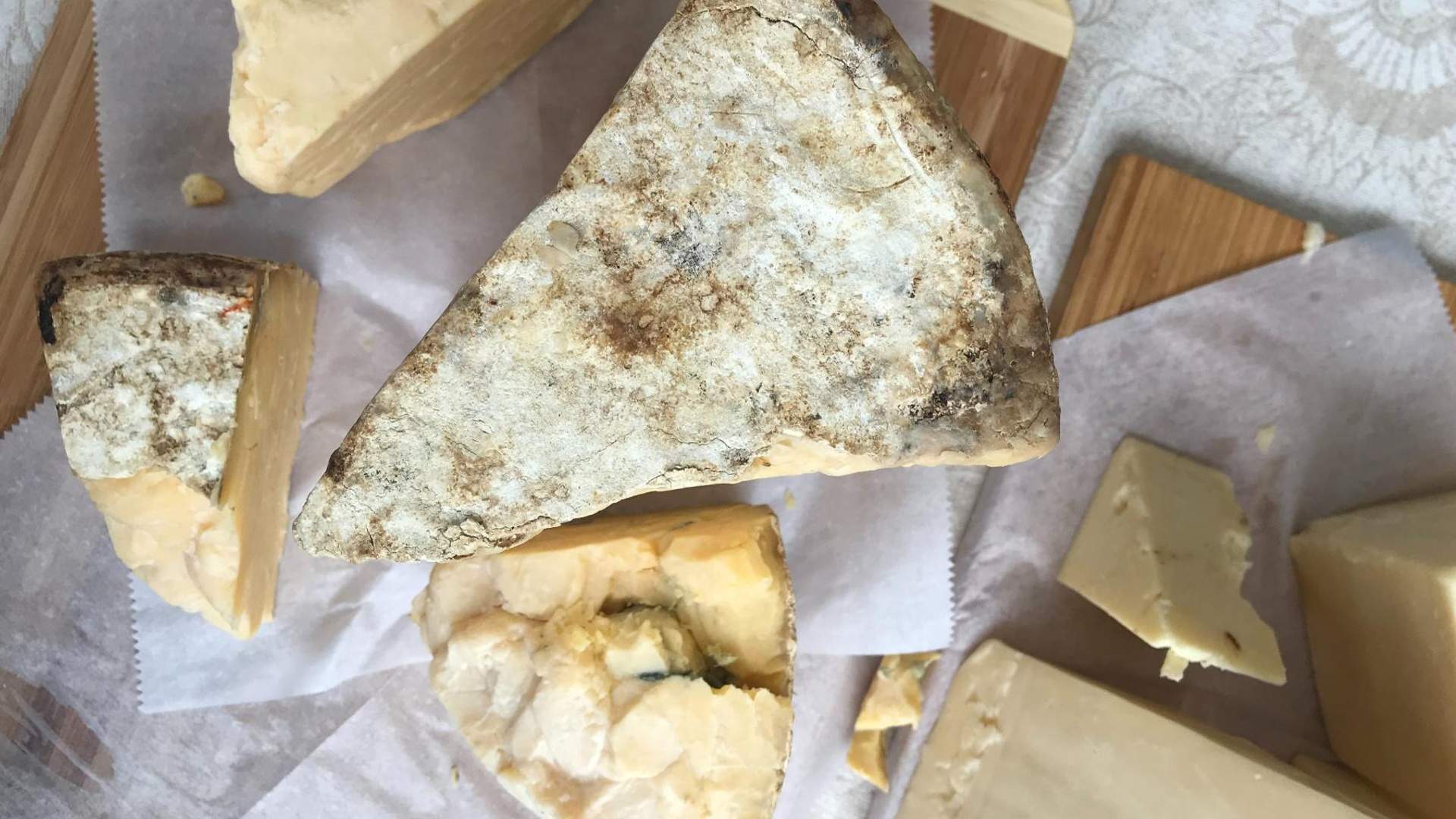 New Zealand's Top Cheese Stores for 2021 Have Just Been Crowned ...