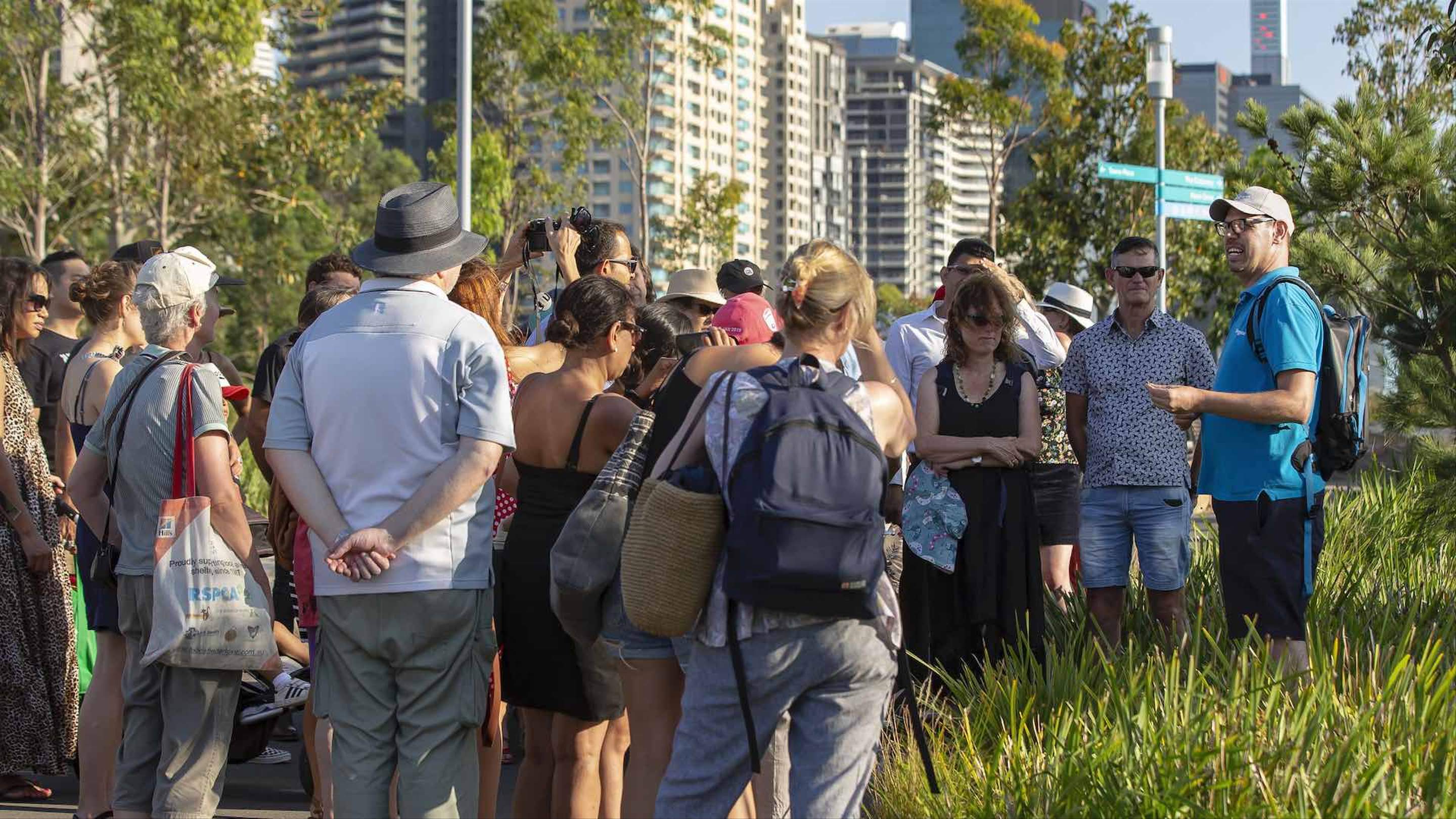 Eight Exciting Ways to Experience Barangaroo This Summer - Concrete ...