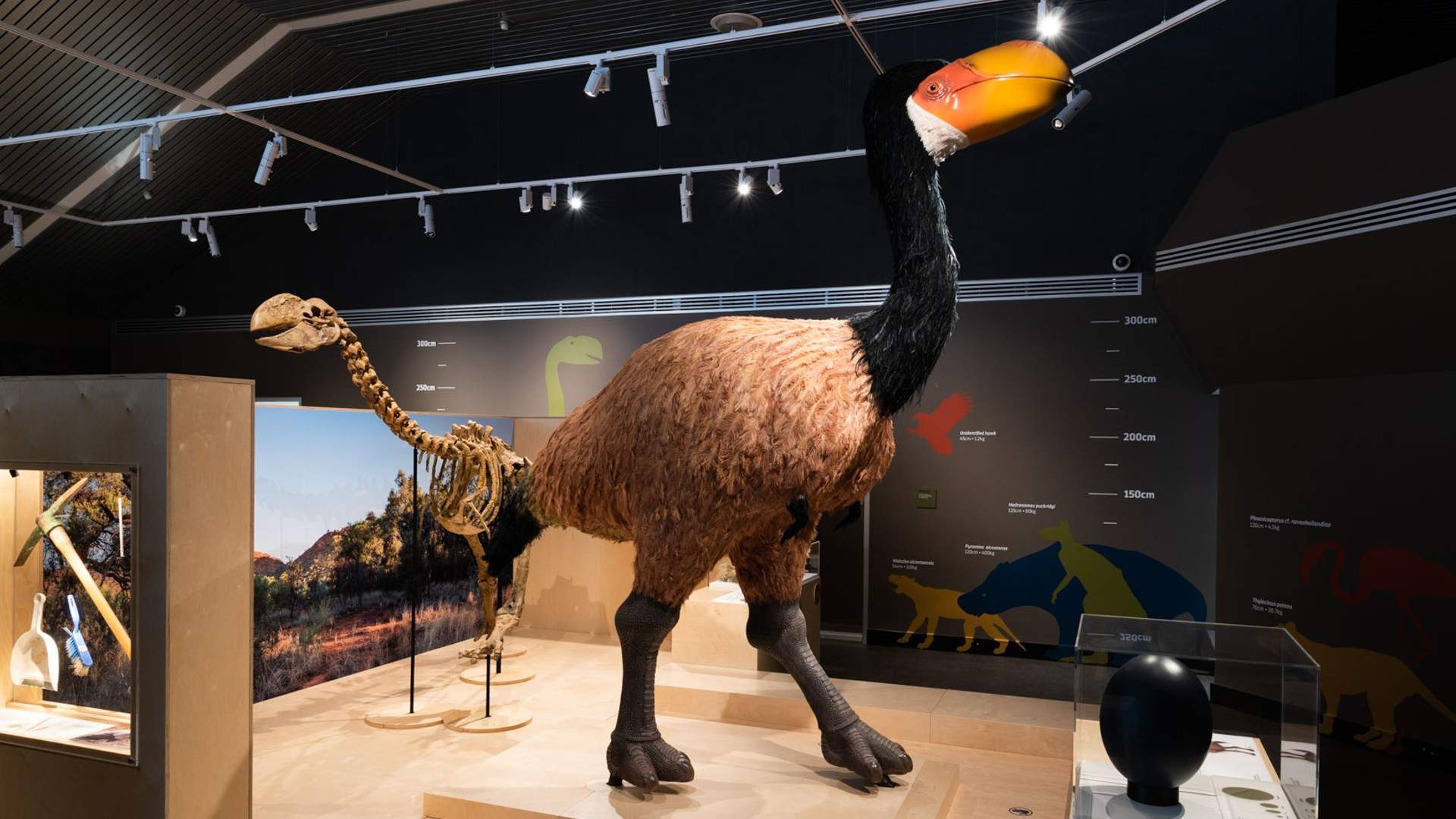 Megafauna Central - Concrete Playground