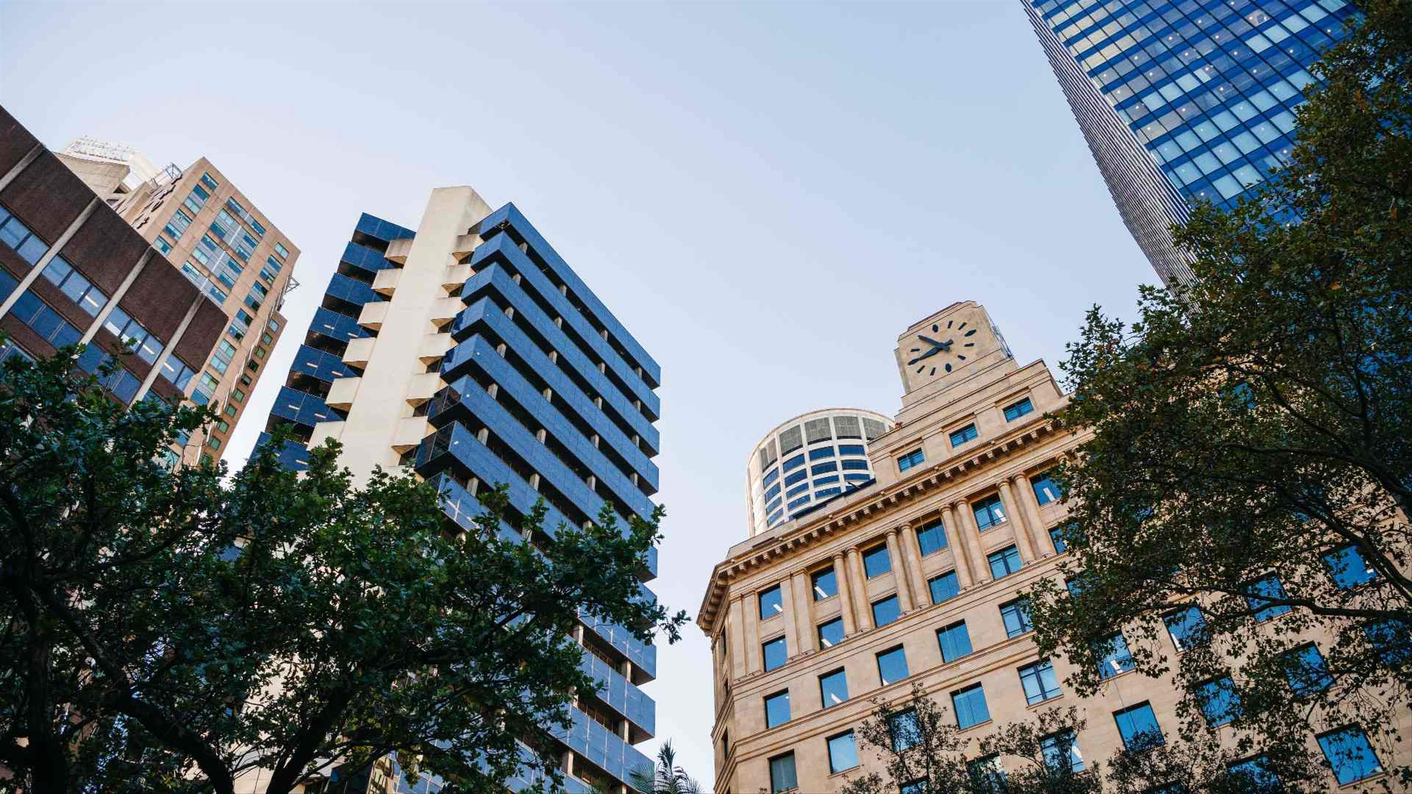 Shell House, Sydney Review