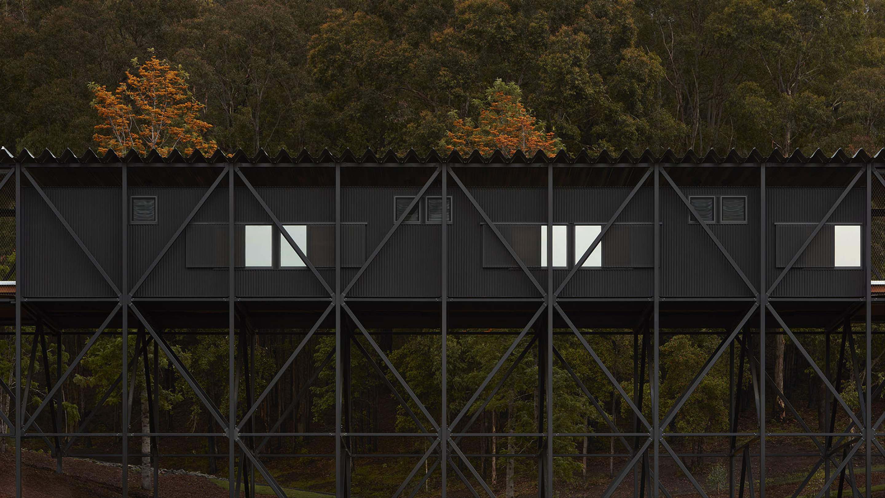 Australia's Huge New Bushland Art Museum Is Opening on the NSW South ...
