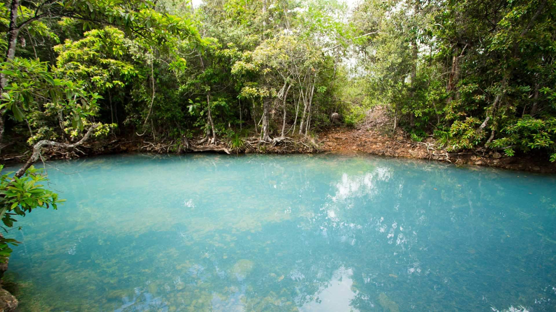 Cardwell Spa Pool - Concrete Playground