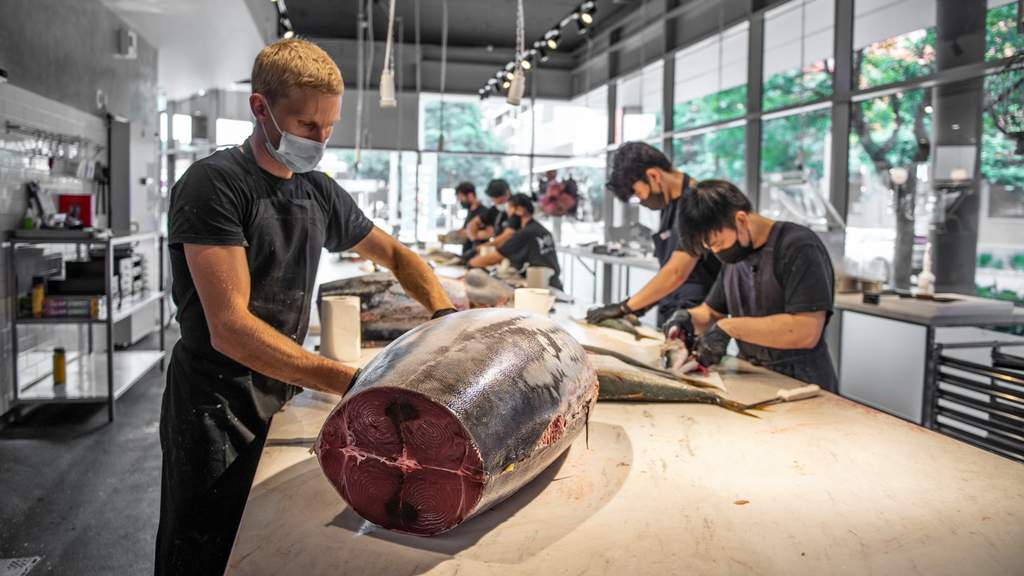 Fish Butchery Waterloo, Waterloo Review