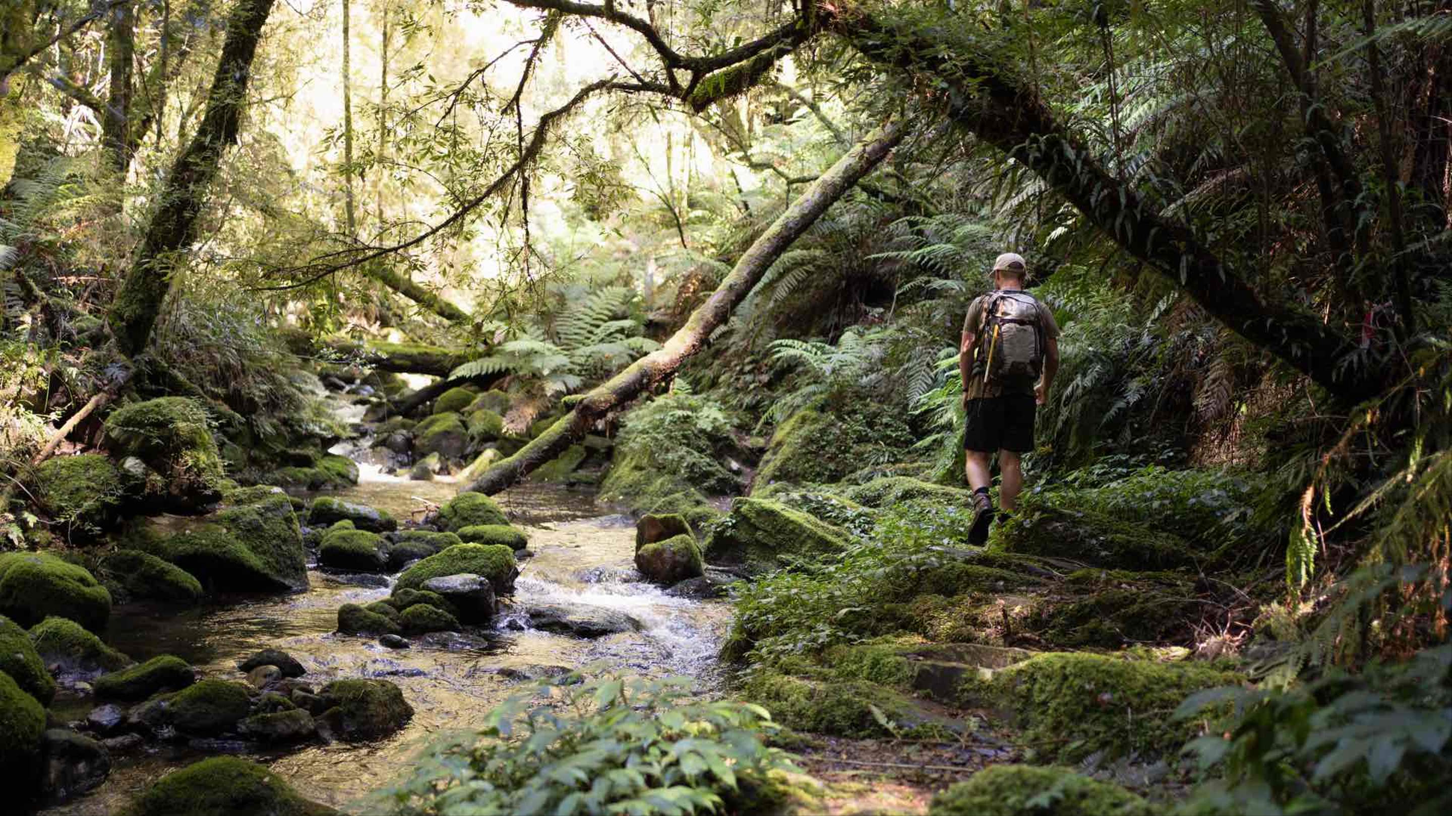 Welcome to Lexton, Victoria, Where You'll Find Wine Country and ...