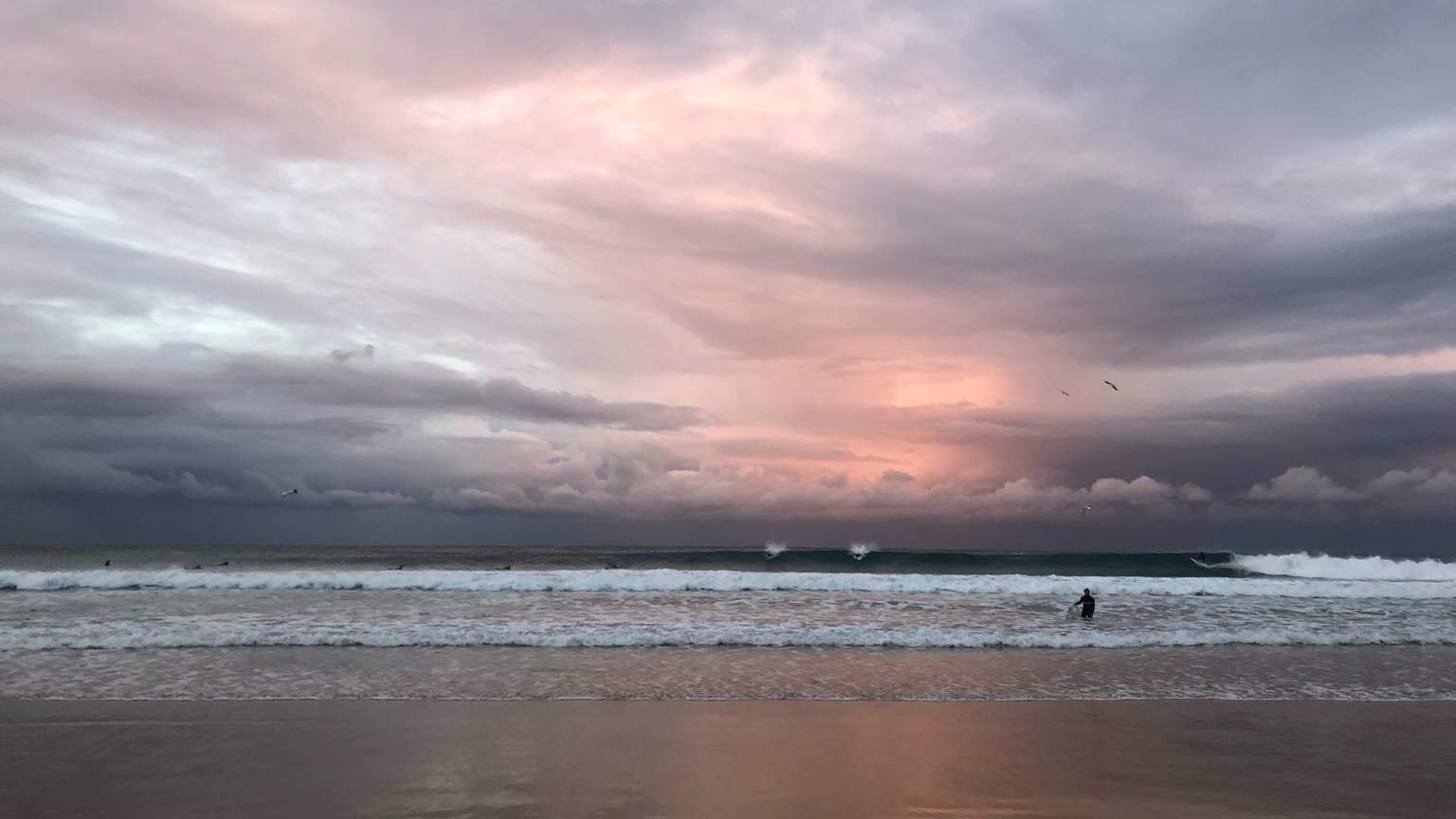 A Guide to Manly Beach to Take You From Sunrise To Sunset - Concrete ...