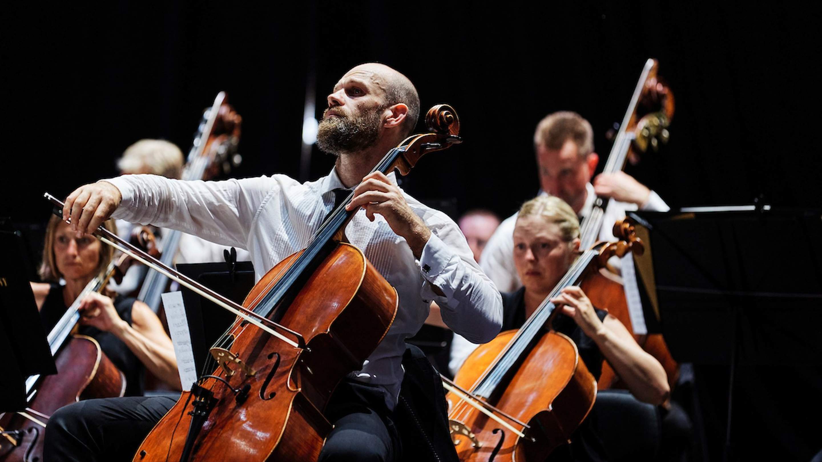 Sydney Symphony Orchestra Presents 2026 - Concrete Playground
