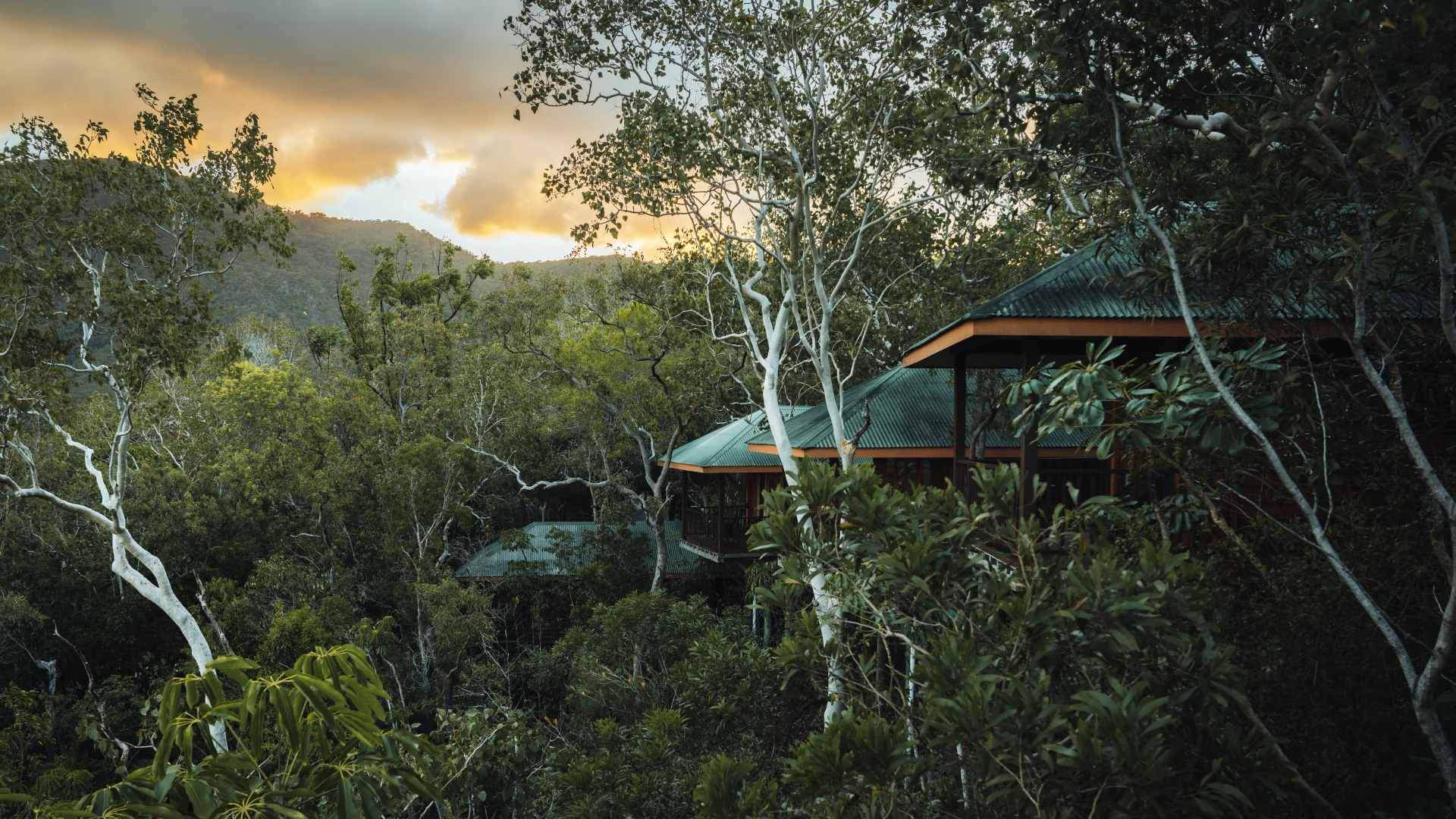 Thala Beach Nature Reserve - Concrete Playground