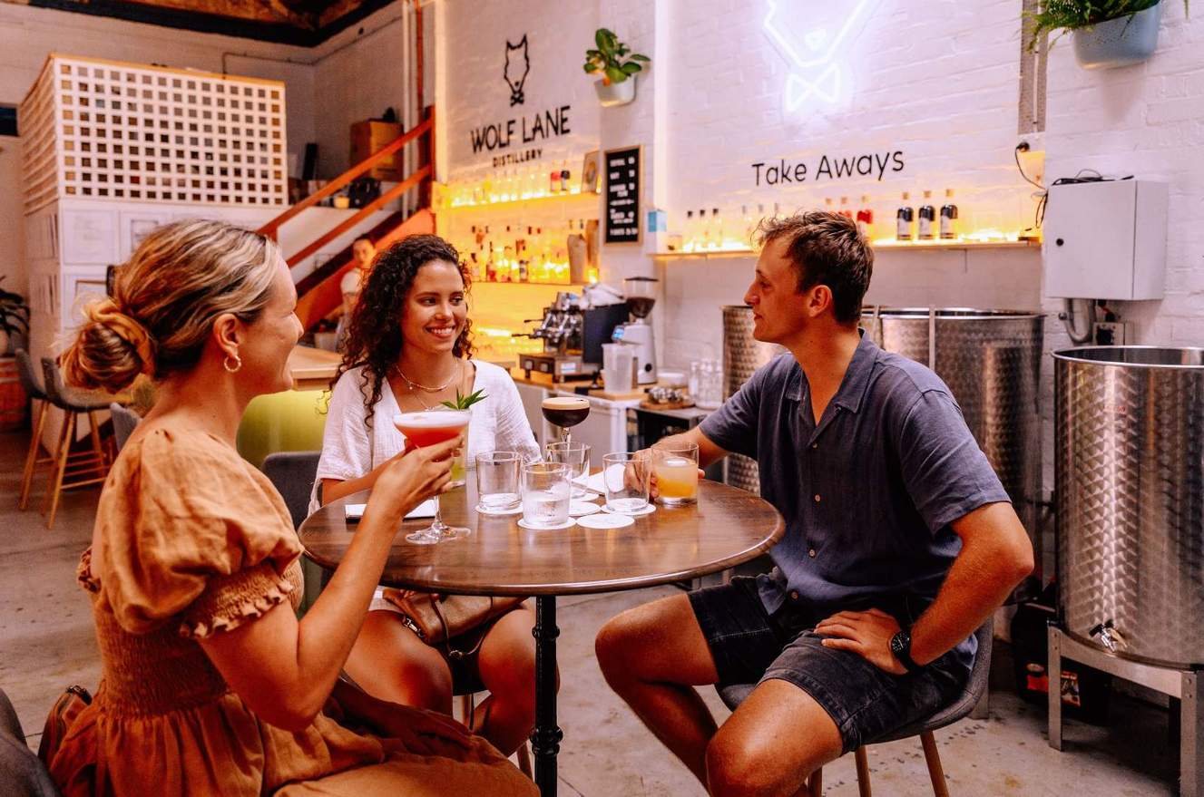 Wolf Lane - Concrete Playground