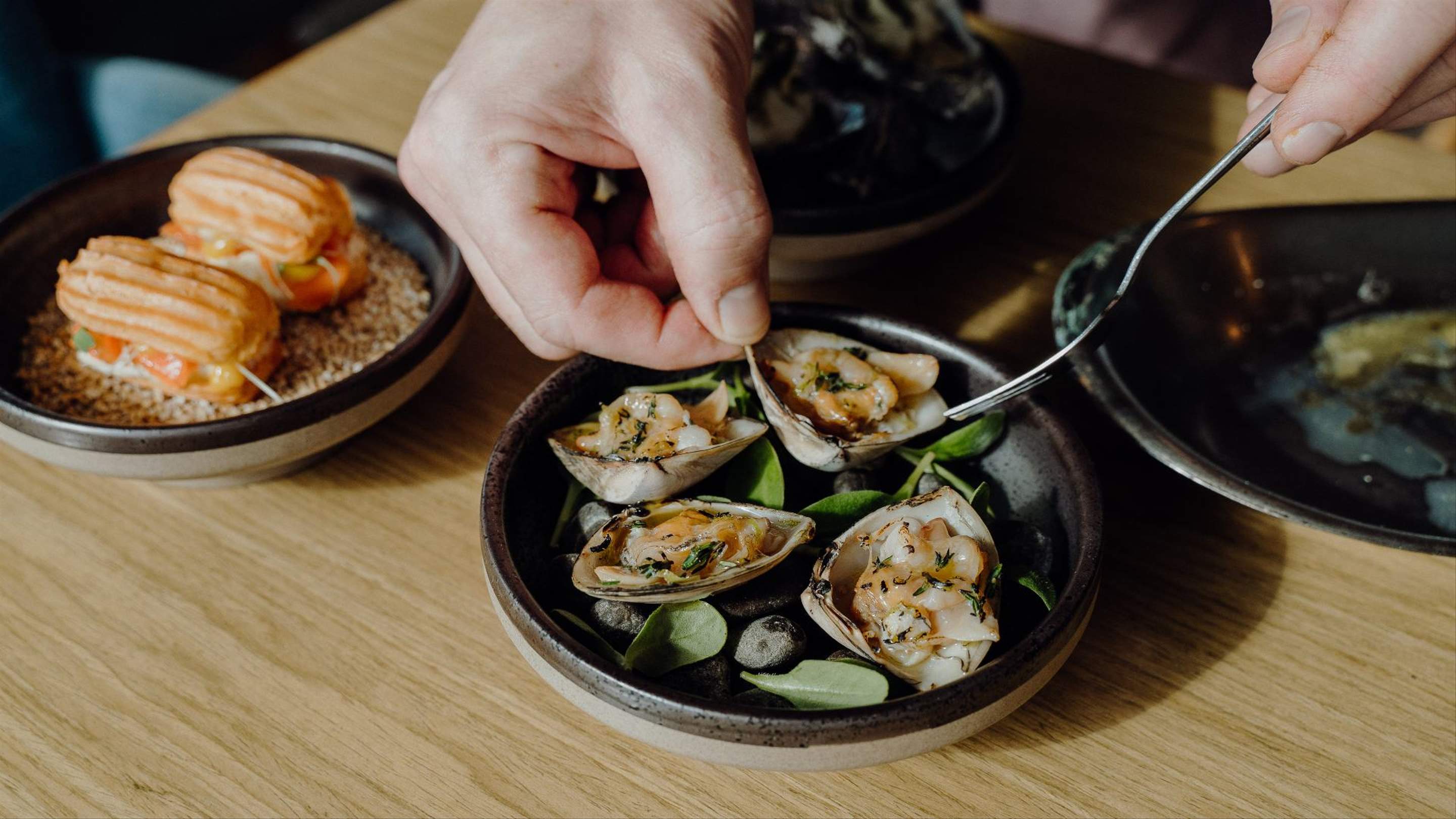Fish, Auckland Review
