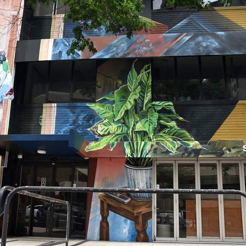 Brisbane's Citywide Street Art Festival Returns in May with 50 New ...