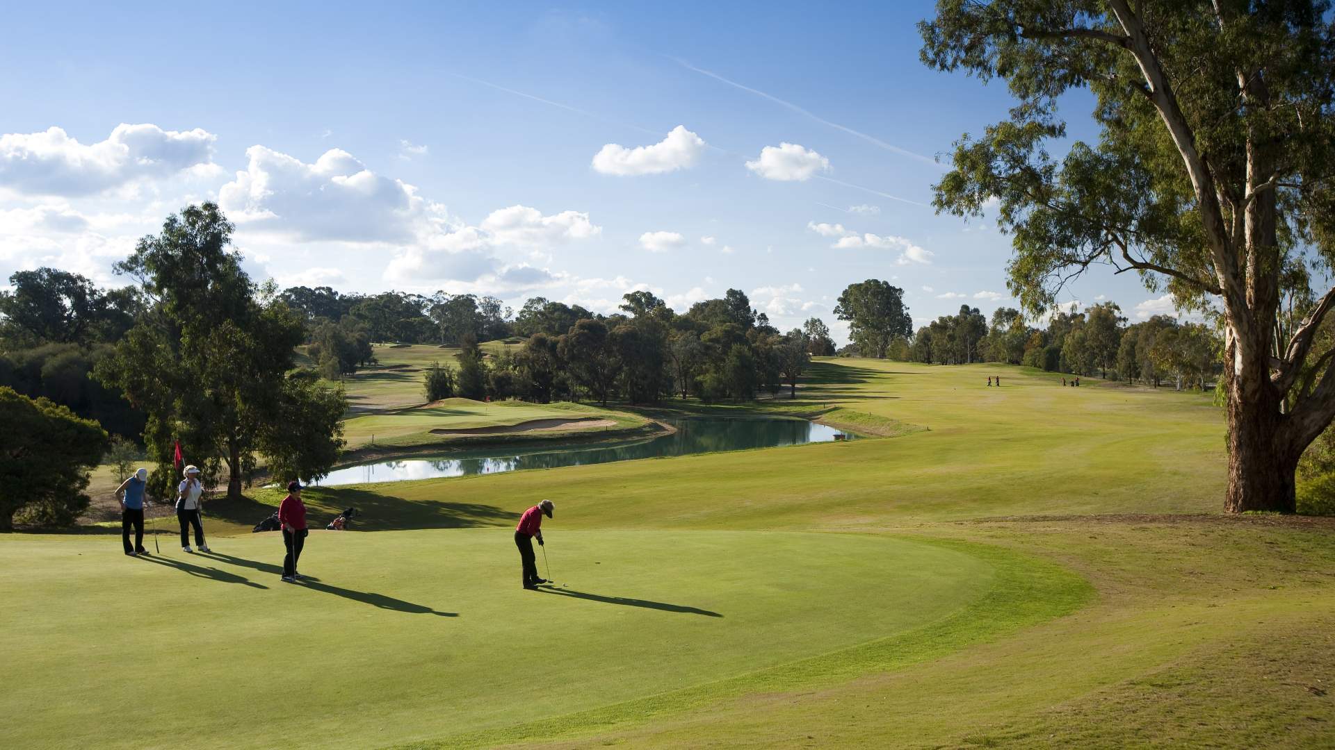 Finley Golf Club - Concrete Playground