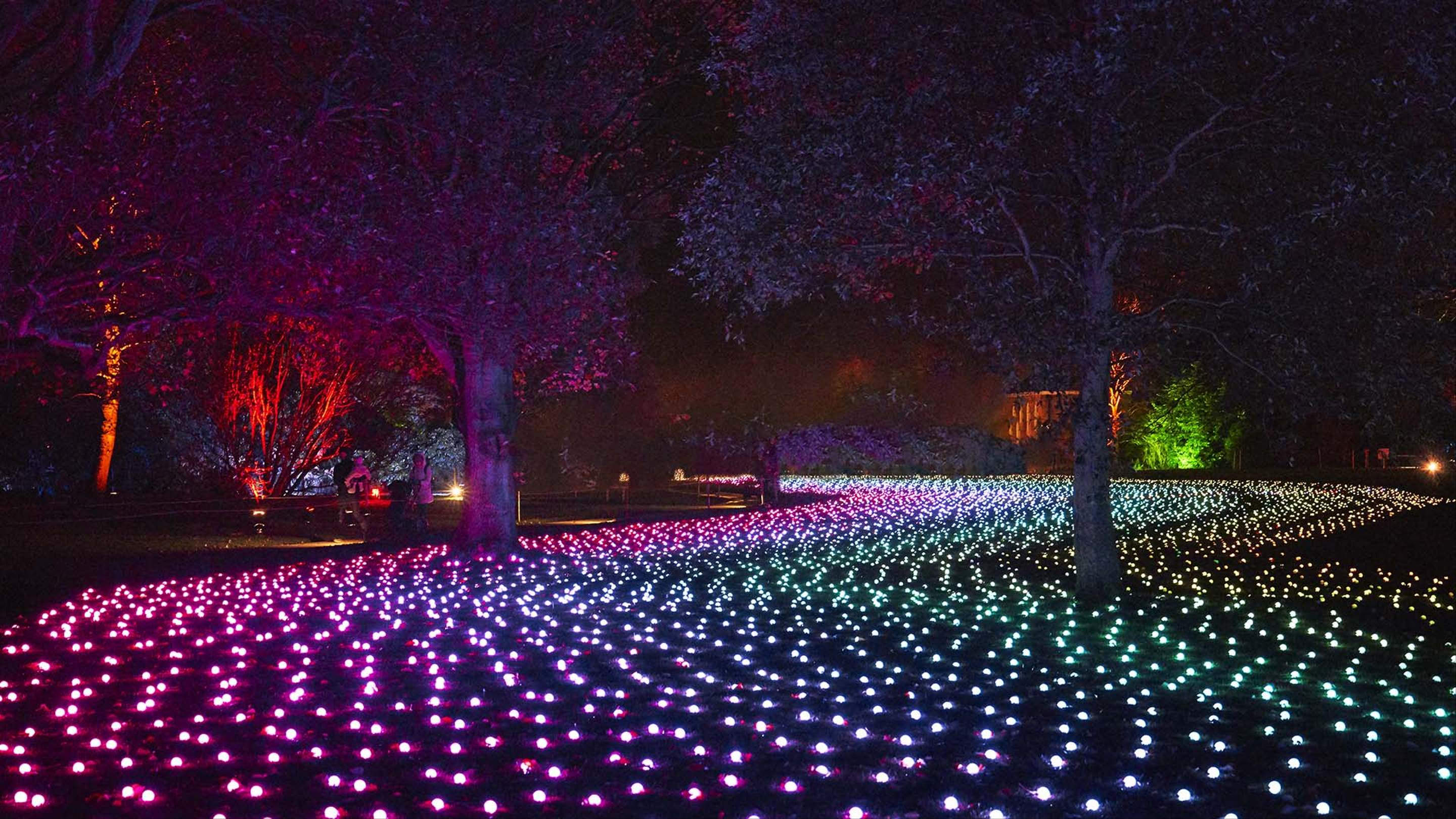 After-Dark Light Festival Lightscape Will Brighten Up the Royal Botanic ...