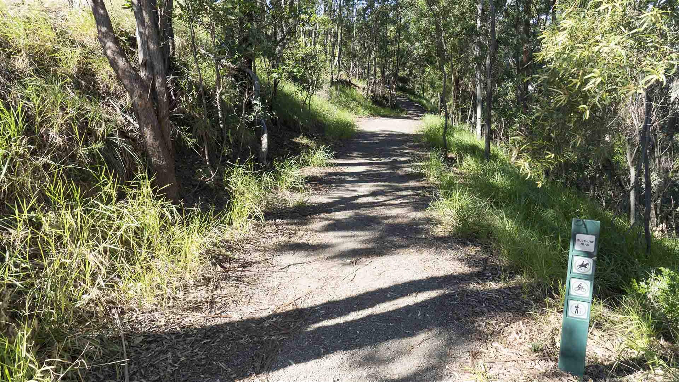 The Guest Edit: Brisbane Lions Stars Cathy Svarc and Sophie Conway Pick ...