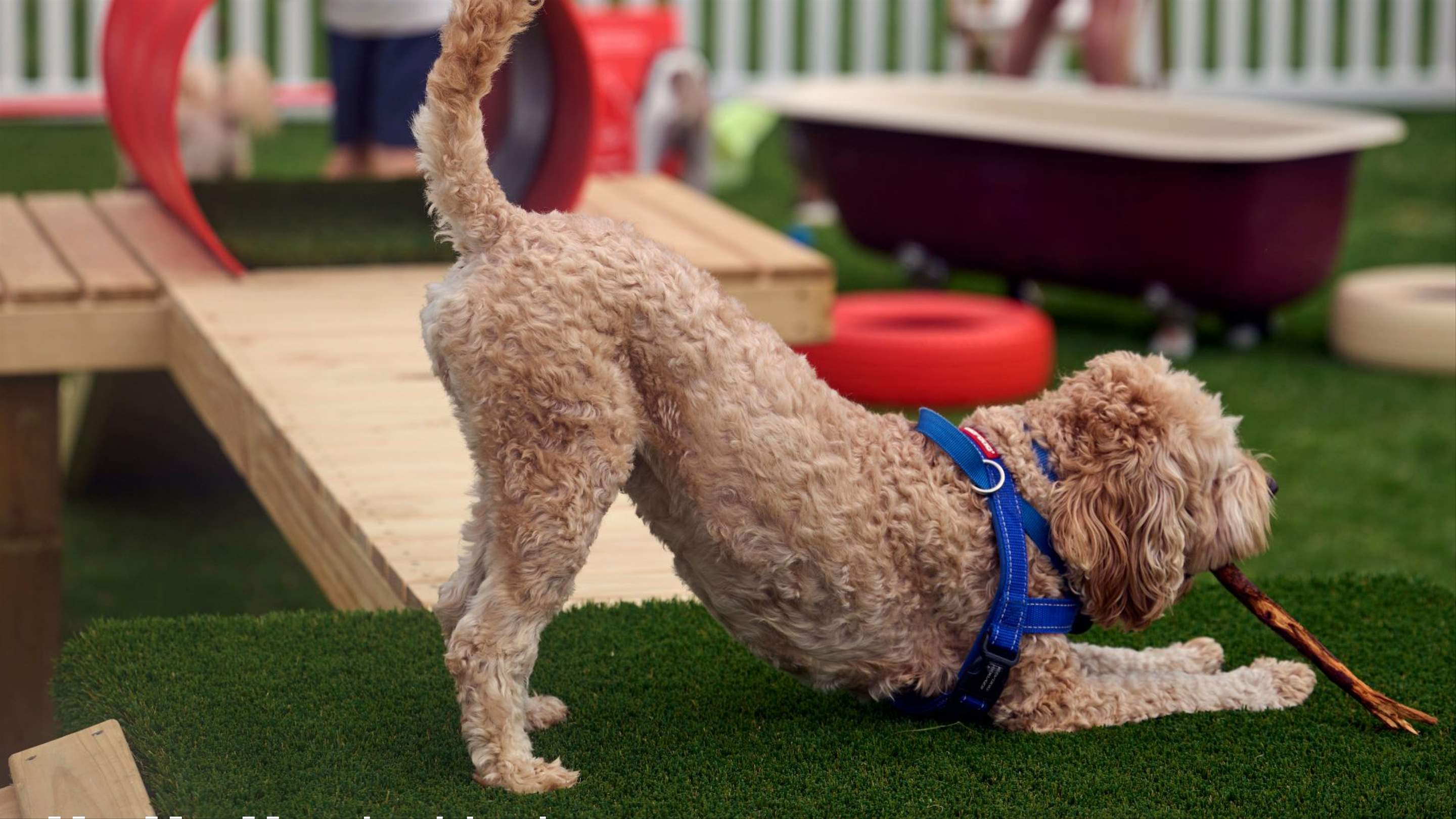 Scratch Patch - Concrete Playground