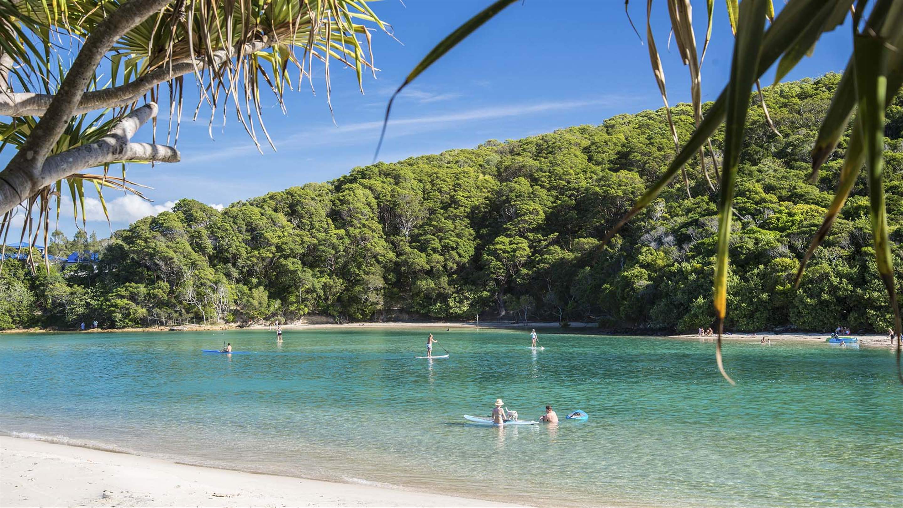 The Guest Edit: Brisbane Lions Stars Cathy Svarc and Sophie Conway Pick ...