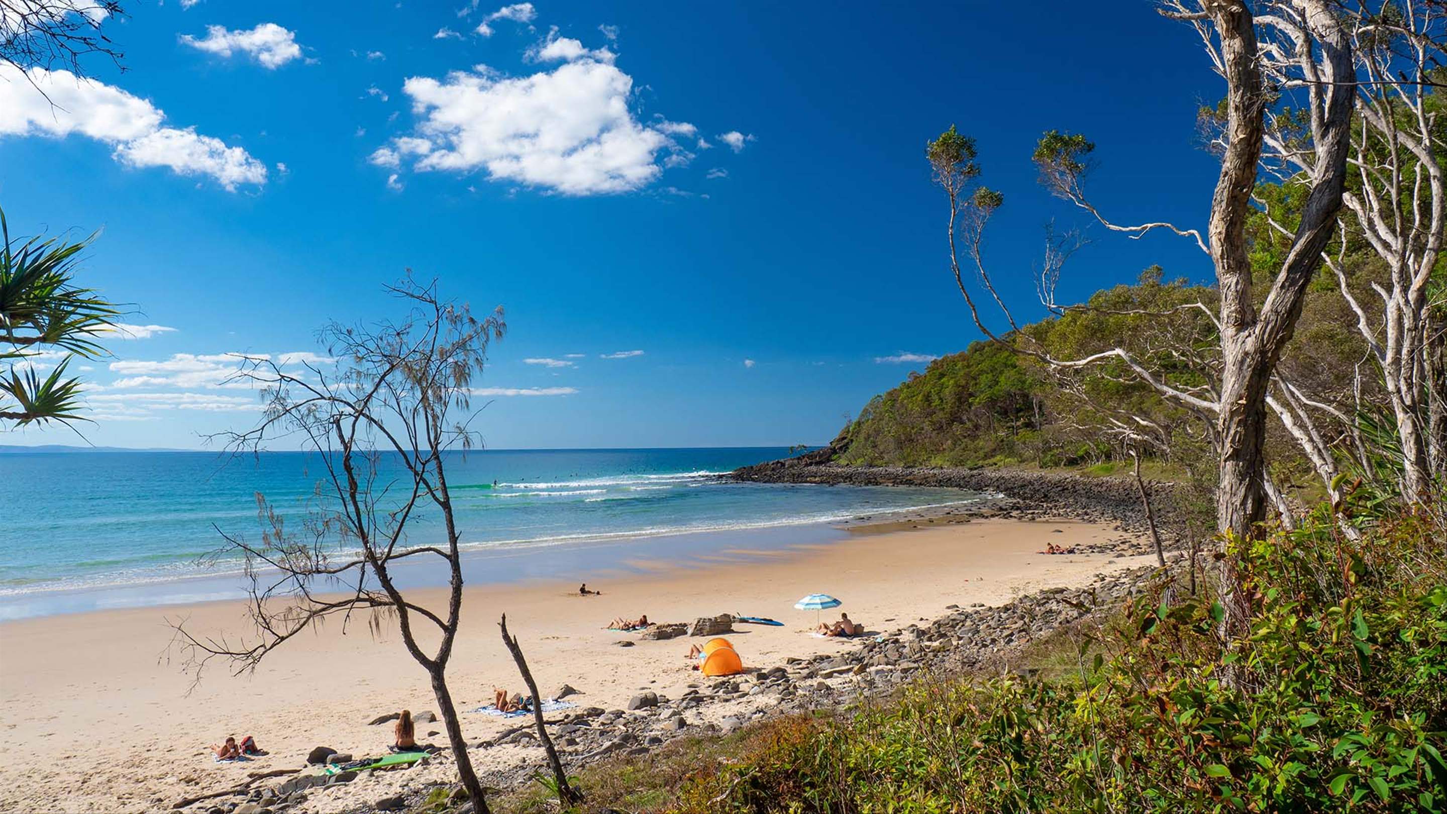 The Guest Edit: Brisbane Lions Stars Cathy Svarc and Sophie Conway Pick ...