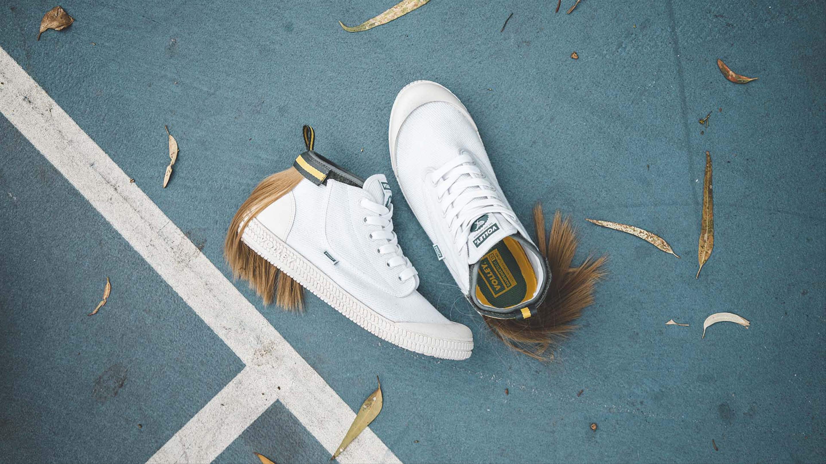 Business in the Front, Party in the Back: Volley Has Just Launched a ...