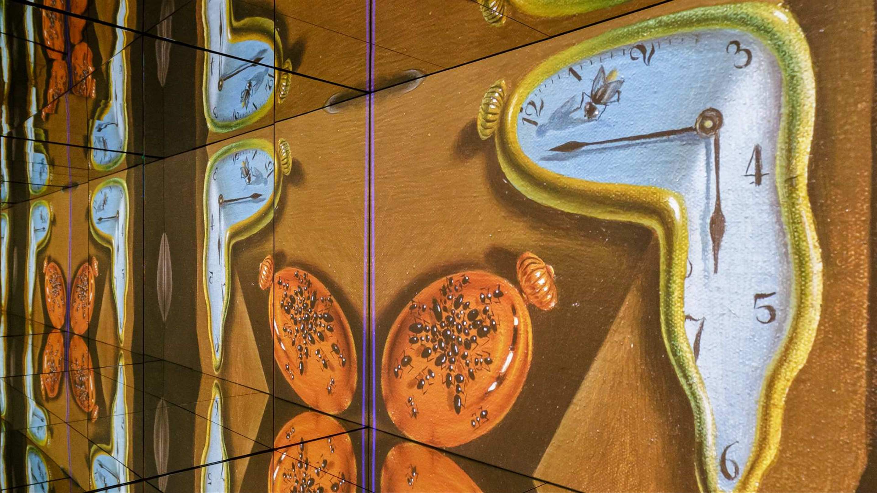 Inside Dali - Concrete Playground