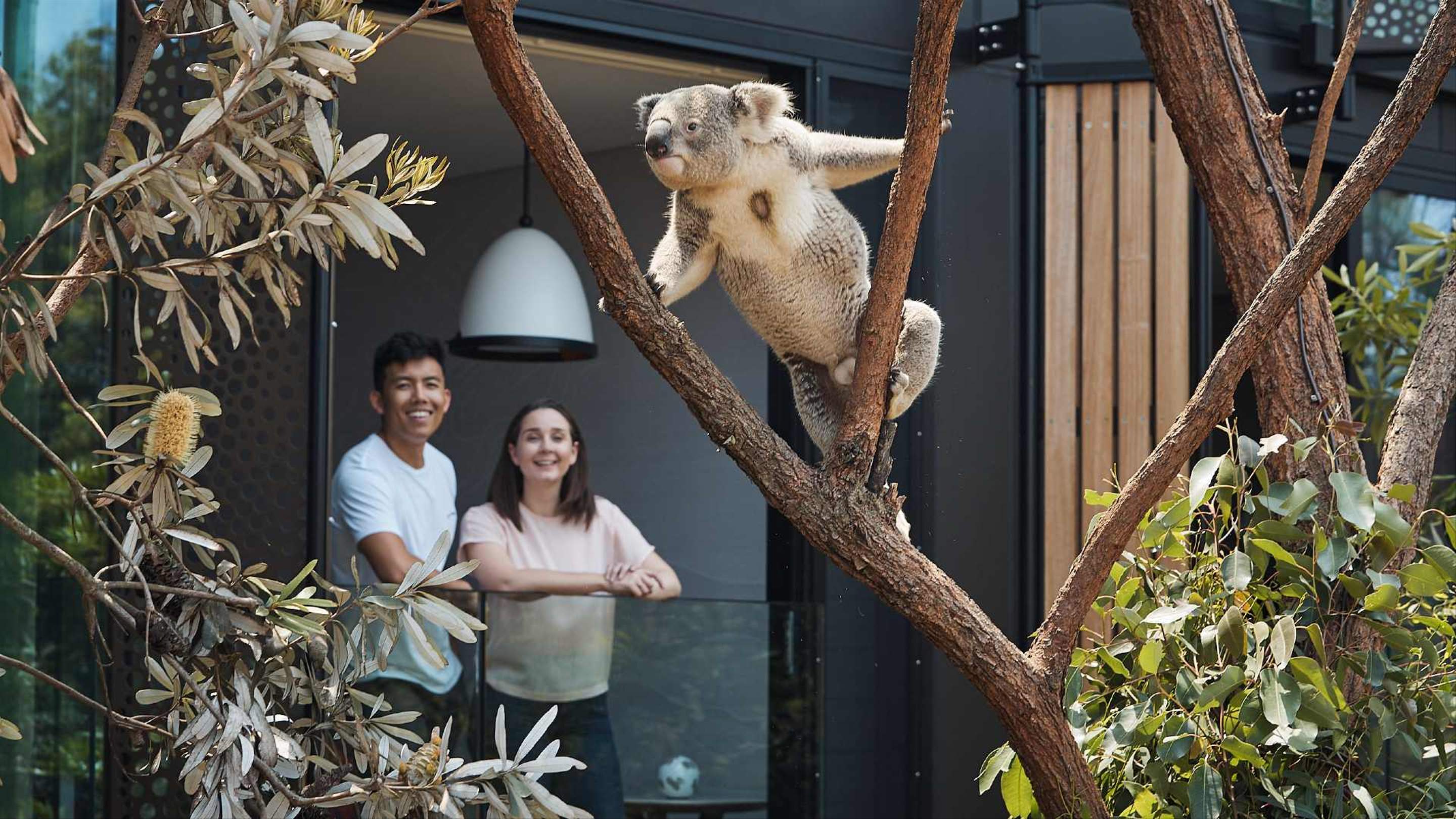 Win an Overnight Stay to Hang Out with the Animals at Taronga Zoo's ...