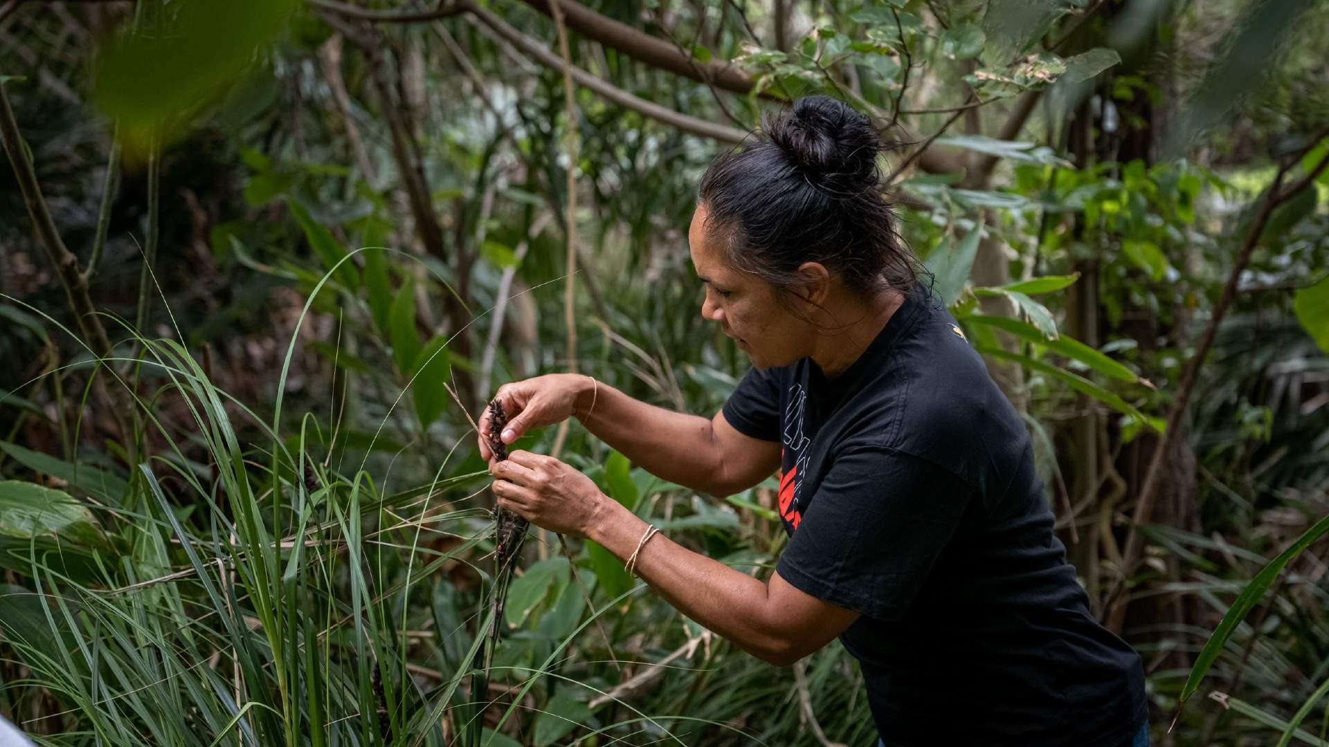 Nine First Nations-Led Cultural Experiences to Have in NSW If You're ...