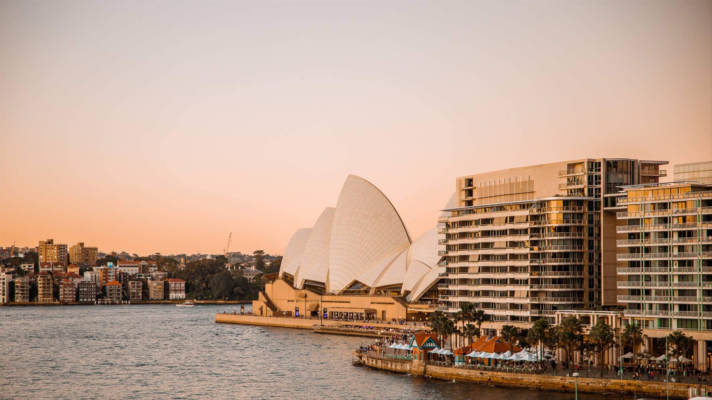 Whalebridge, Sydney Review