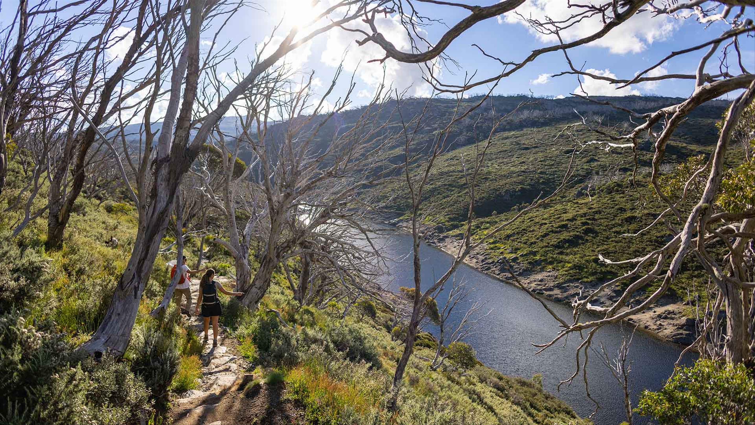 Australia's Highest Suspension Bridge Has Opened in the Snowy Mountains ...