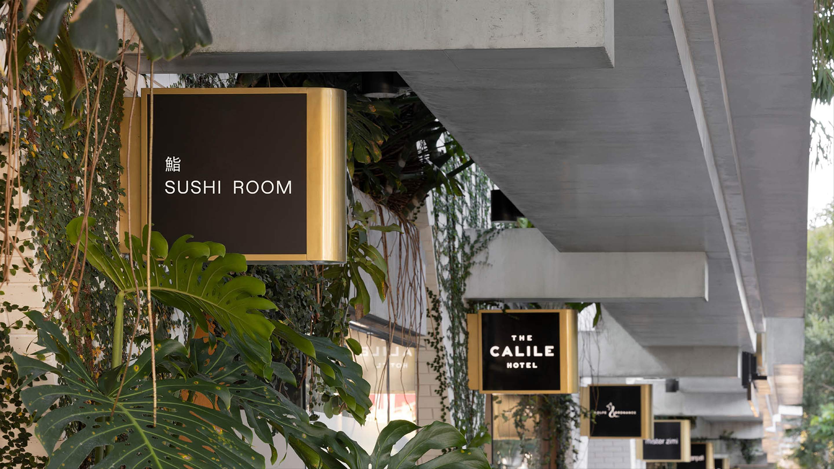 The Calile Hotel's Luxe Sushi Room Is Expanding to Give James Street an ...