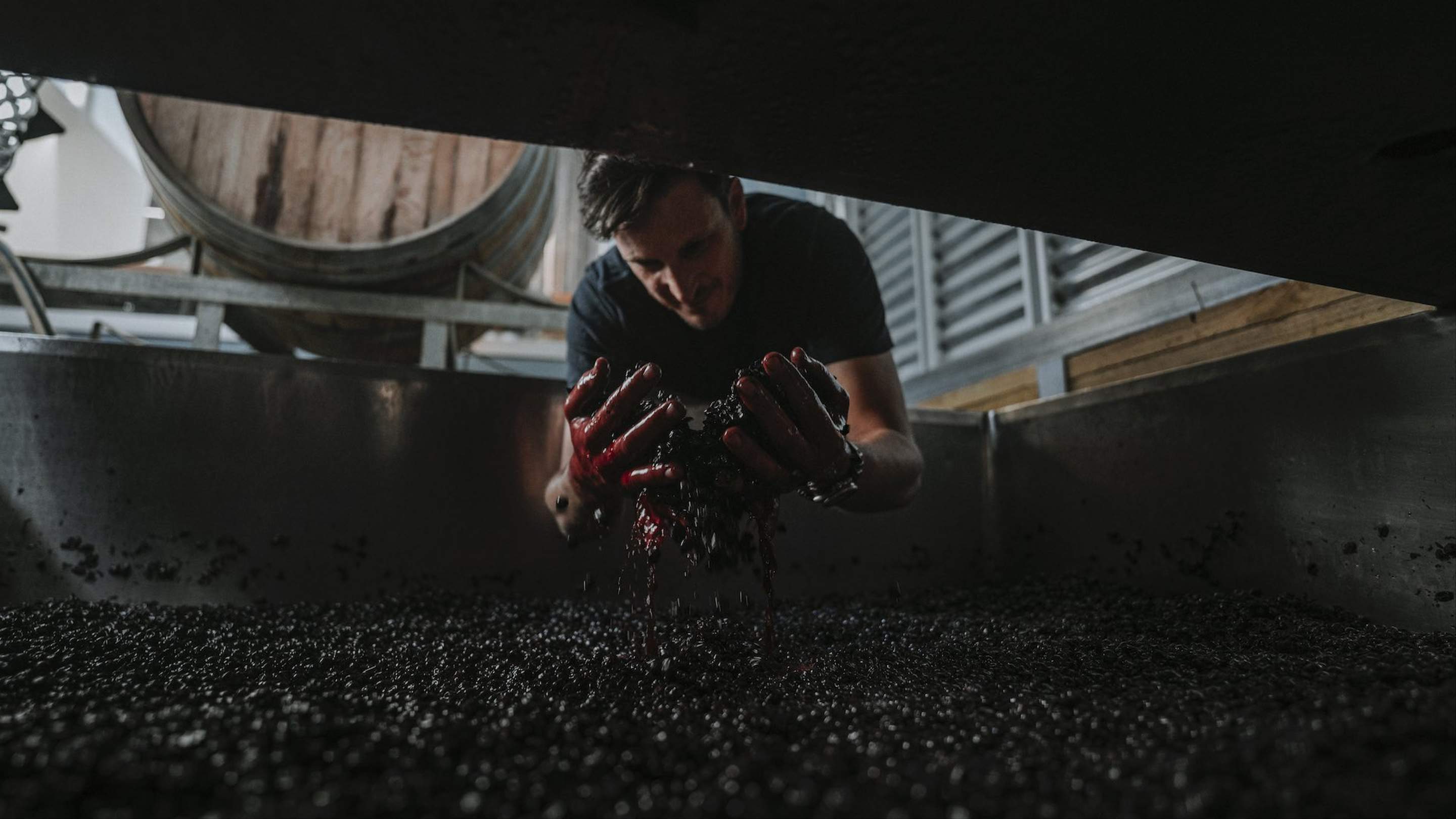 Young Gun of Wine Has Announced Its 2024 Top 50 If You're Looking for ...