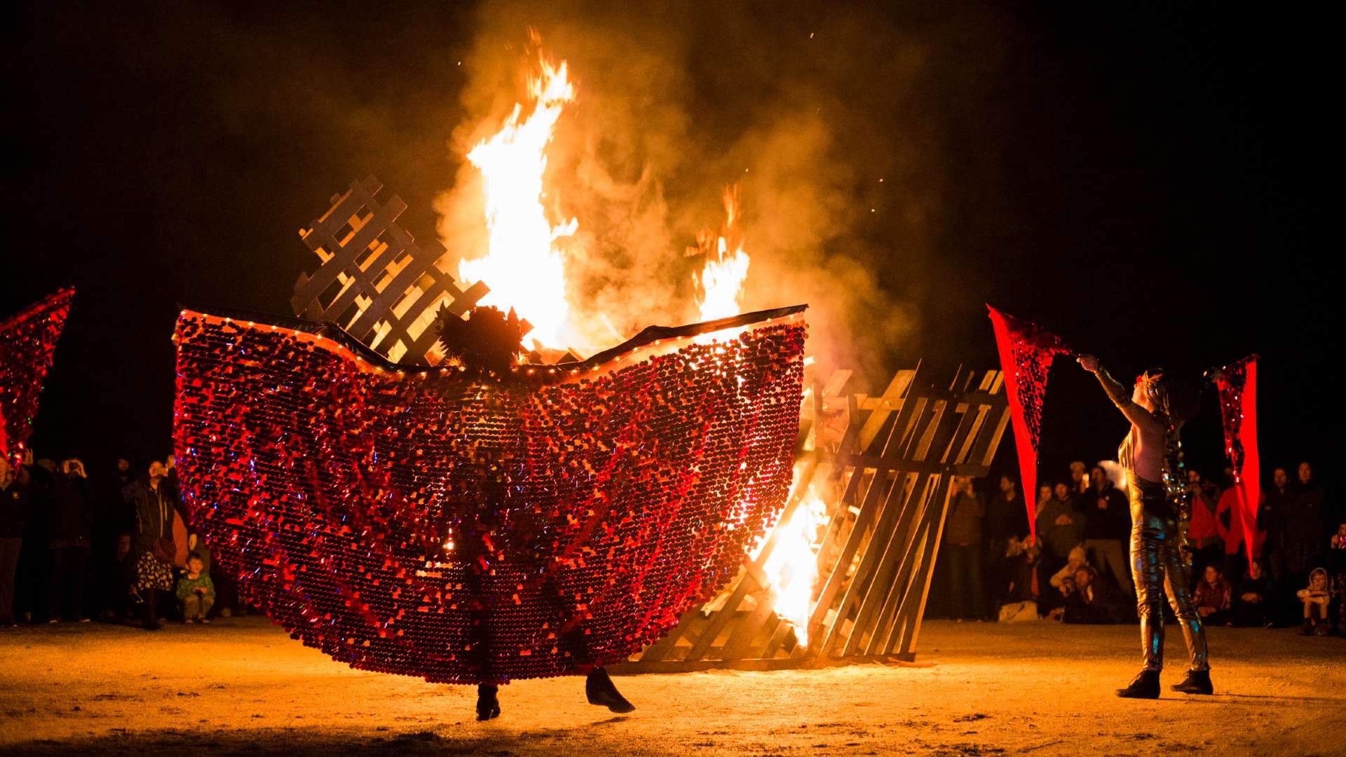 After-Dark Arts Festival WinterWild Will Return to Illuminate Apollo Bay This Winter - Concrete ...