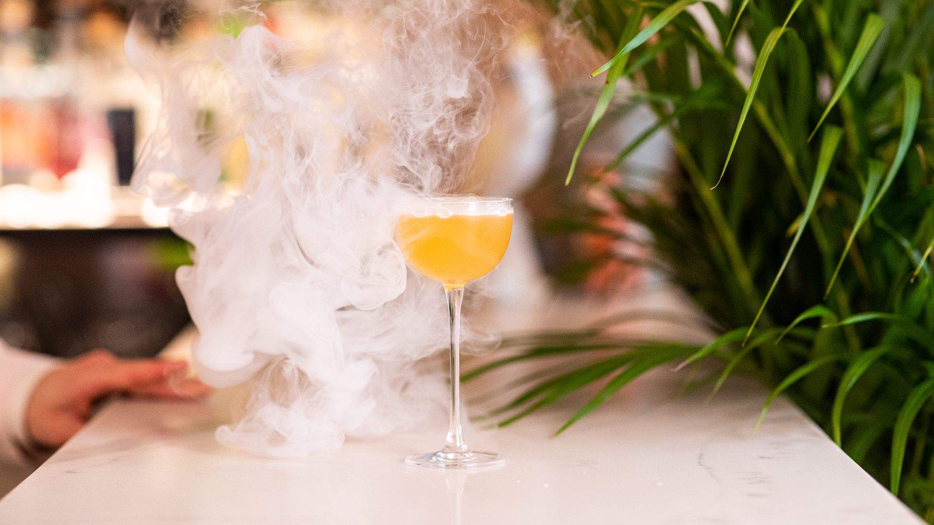 Maybe Sammy Takeover, Melbourne