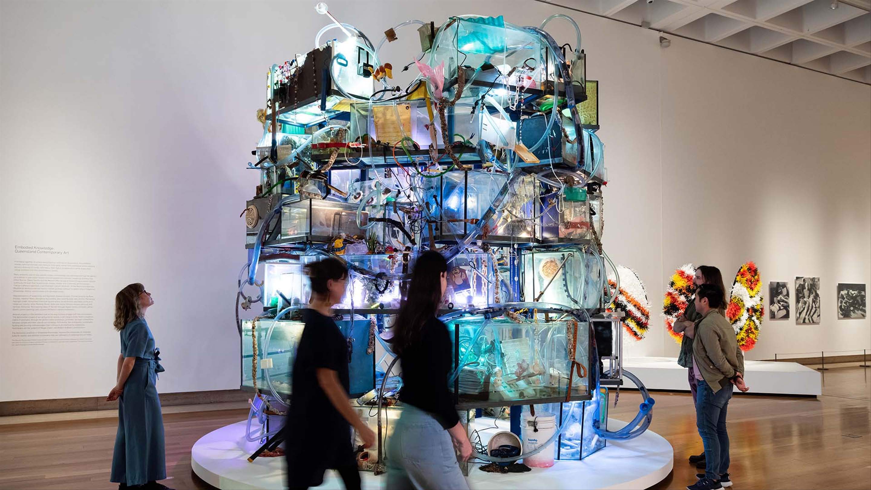 Embodied Knowledge: Queensland Contemporary Art - Concrete Playground