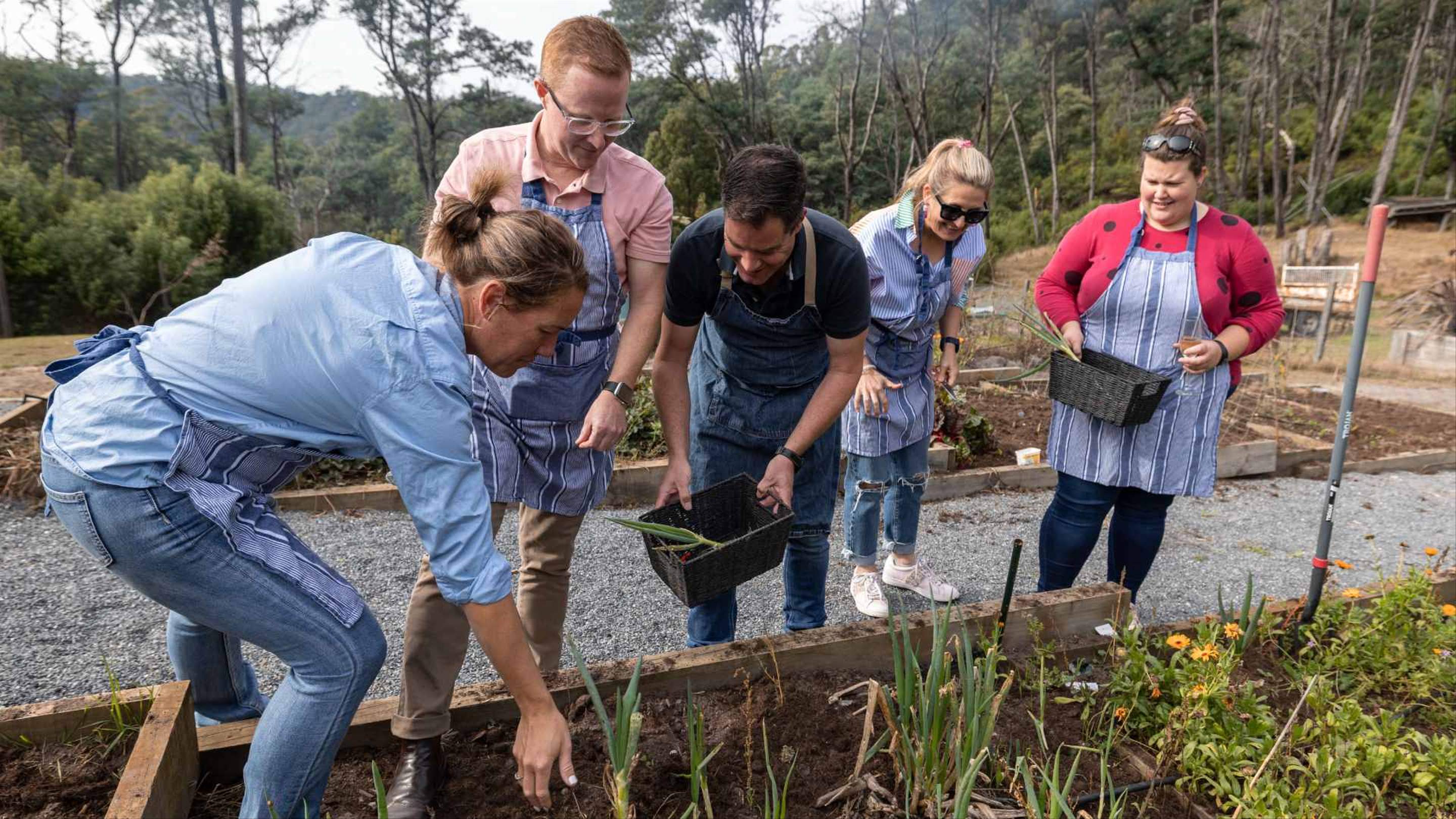 Foraging, Fruit Picking and Fromage Making: Ten Incredible Foodie ...