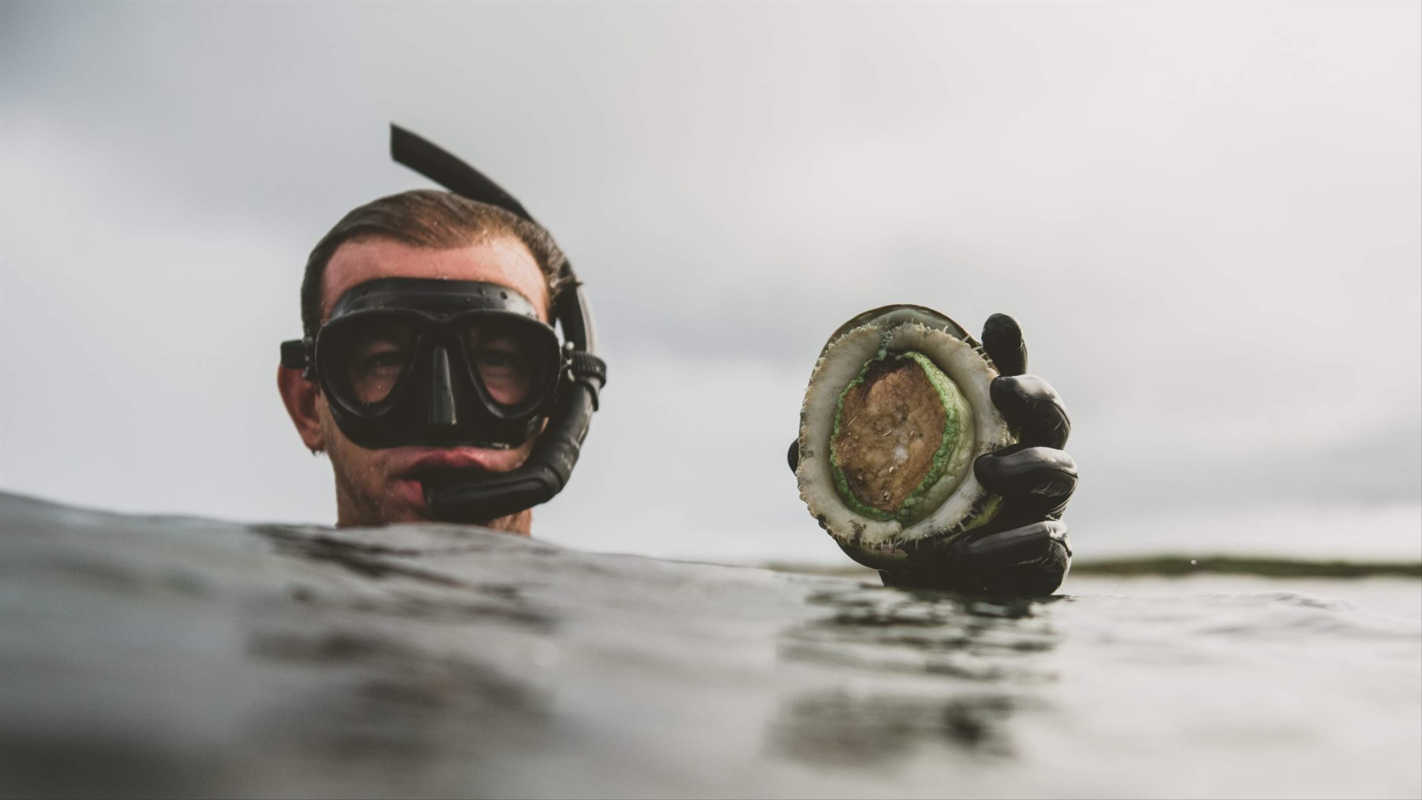 Candy Abalone and Saltbush Vodka: Meet the Makers Behind Some of ...