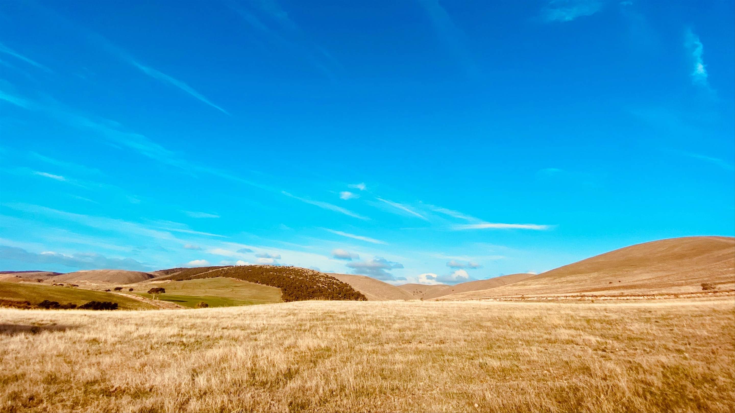 Six Day Trips to Take from Adelaide If You Want to Extend Your Harvest ...