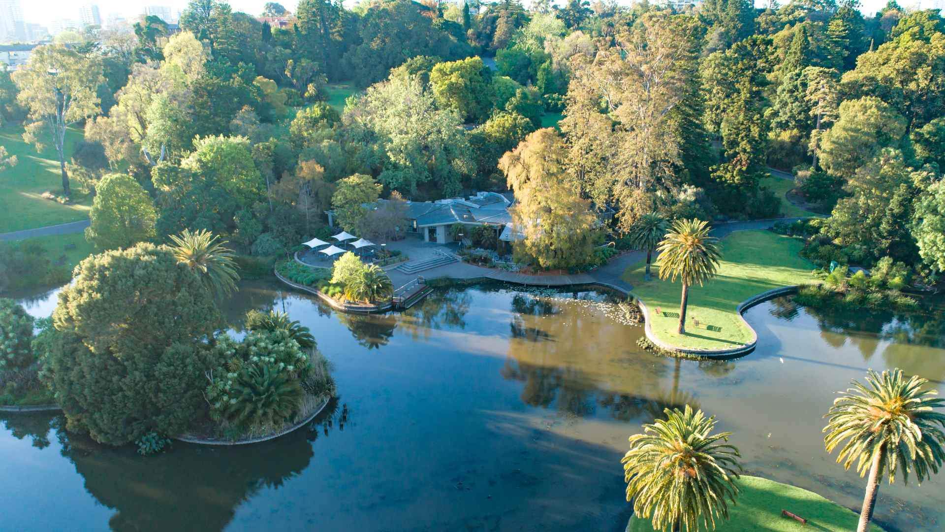 The Higher Ground Crew Is Reviving the Royal Botanic Gardens' Historic ...