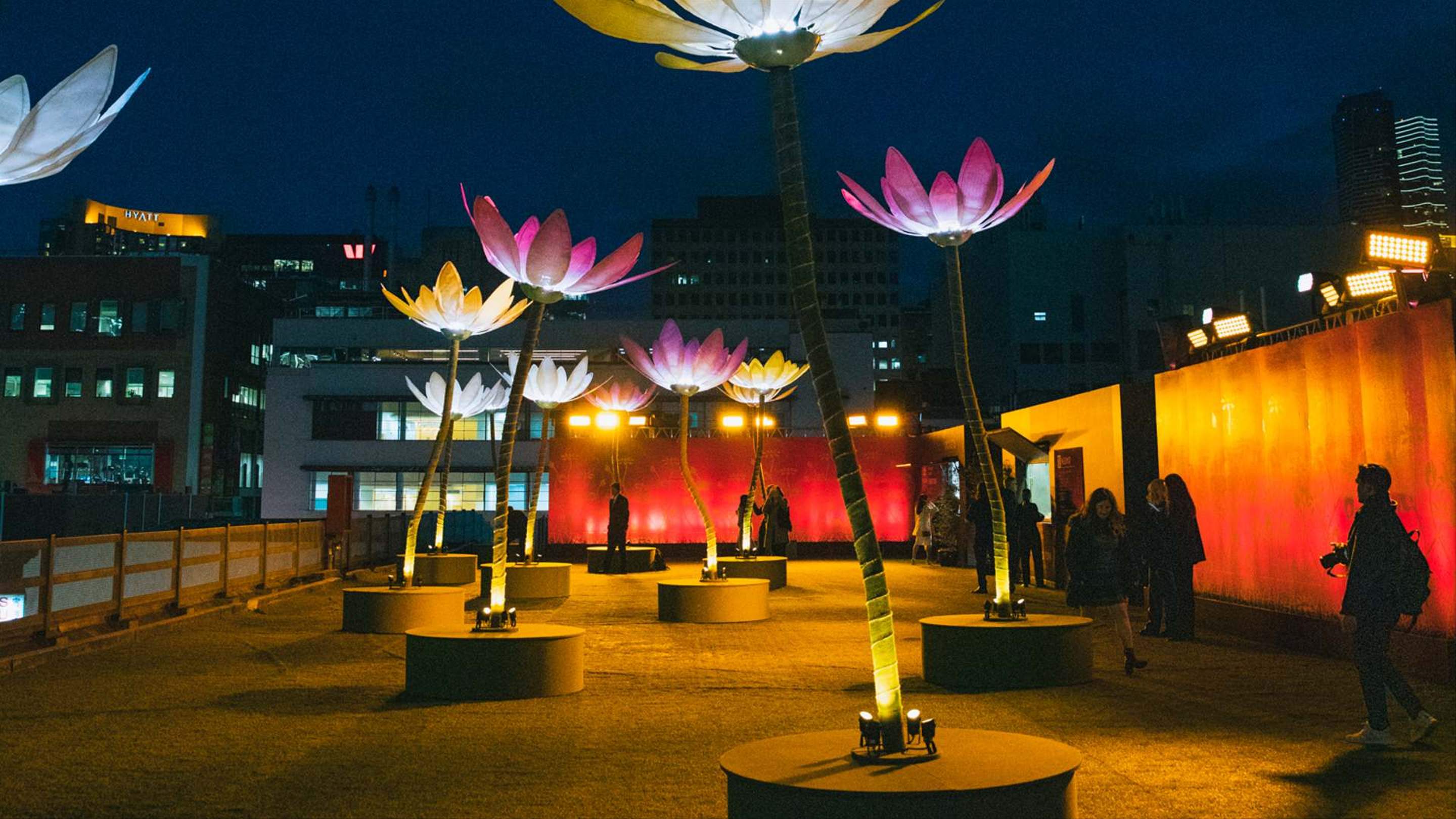 Wisdom & Light - Concrete Playground